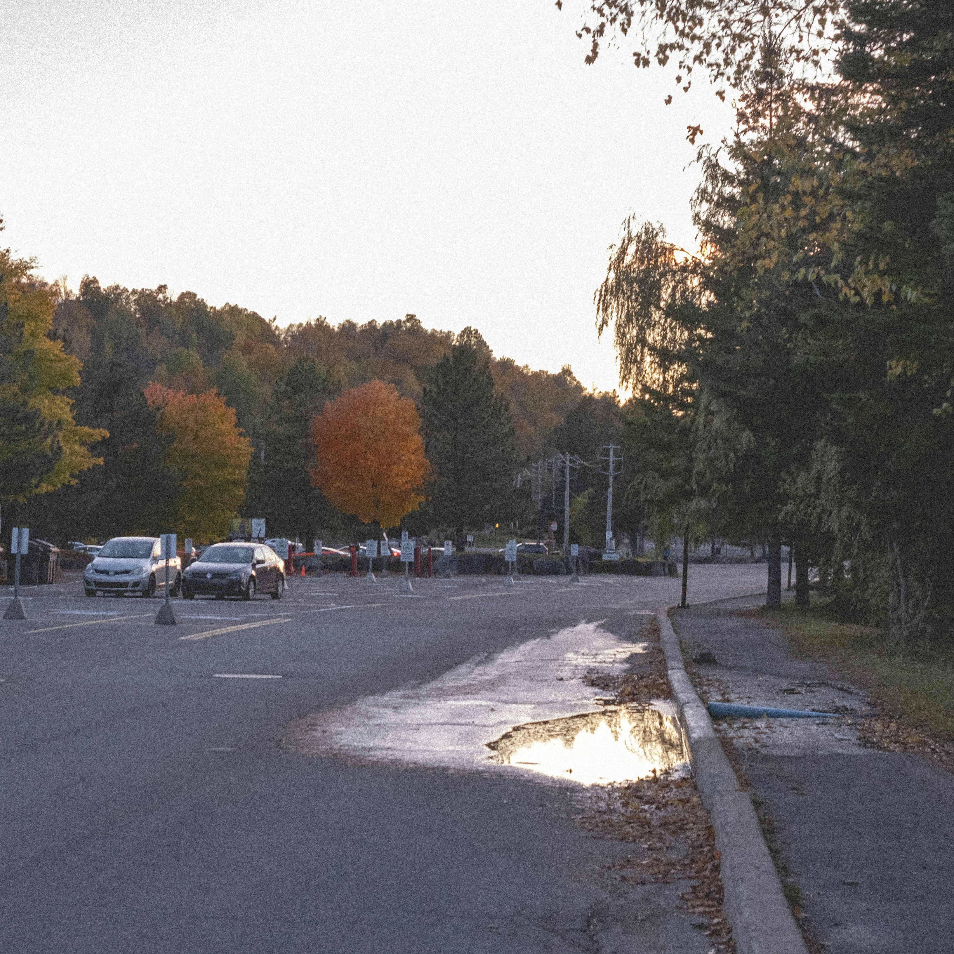 Photo by Sepehr Sajjadieh with Fujifilm X-T2