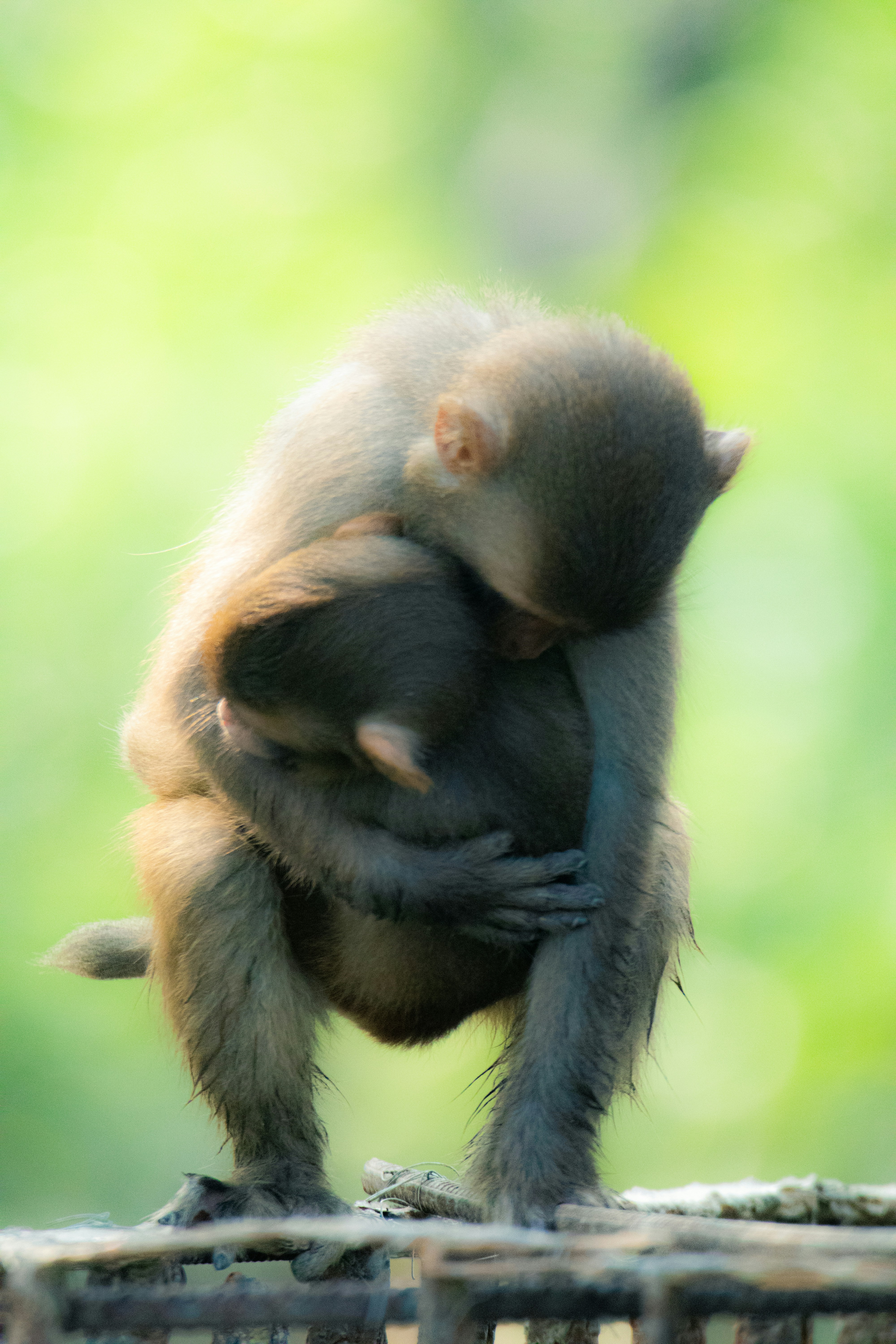 Pouting Pictures | Download Free Images on Unsplash