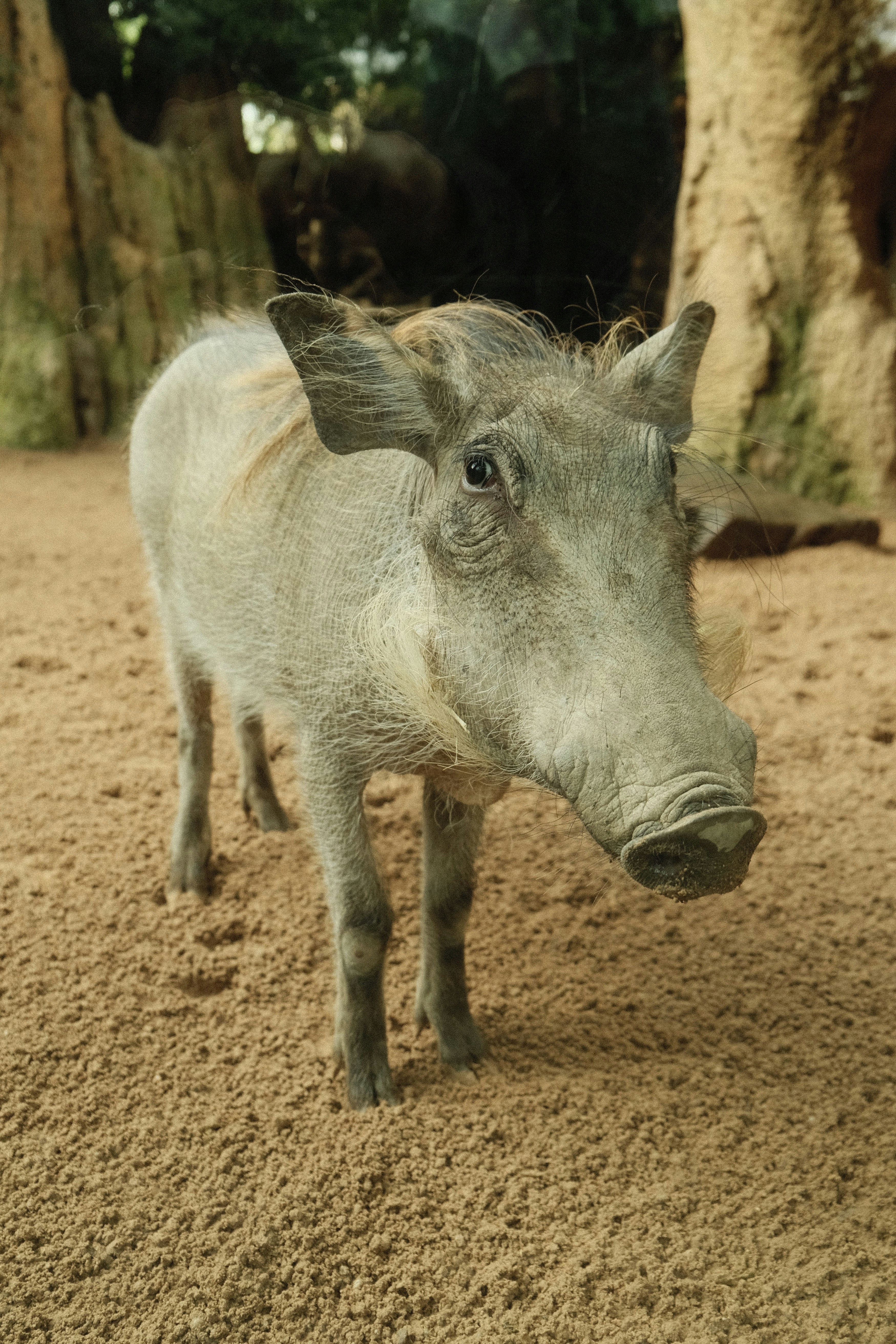 Photo by Denis with Fujifilm X-T30 II