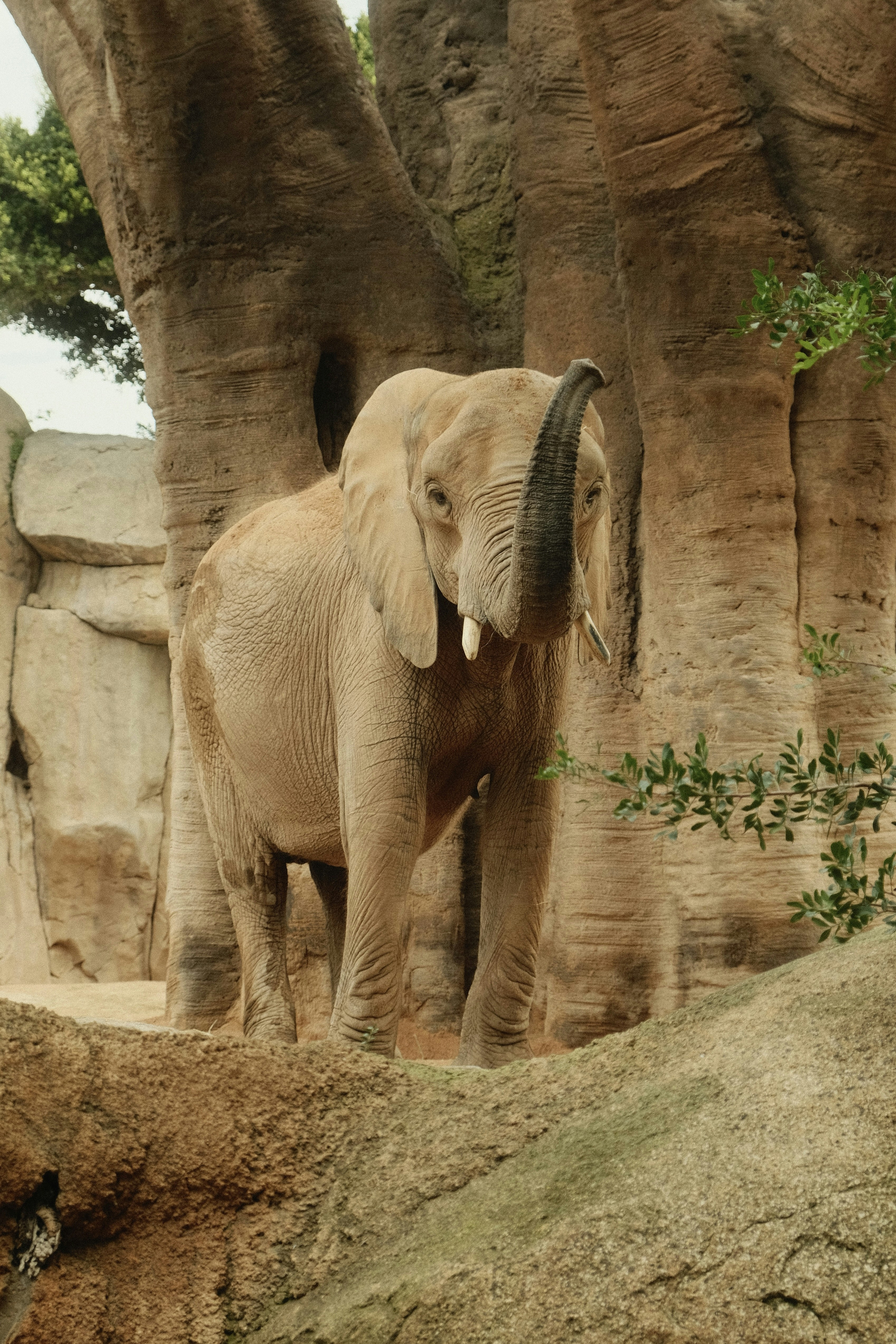 Photo by Denis with Fujifilm X-T30 II