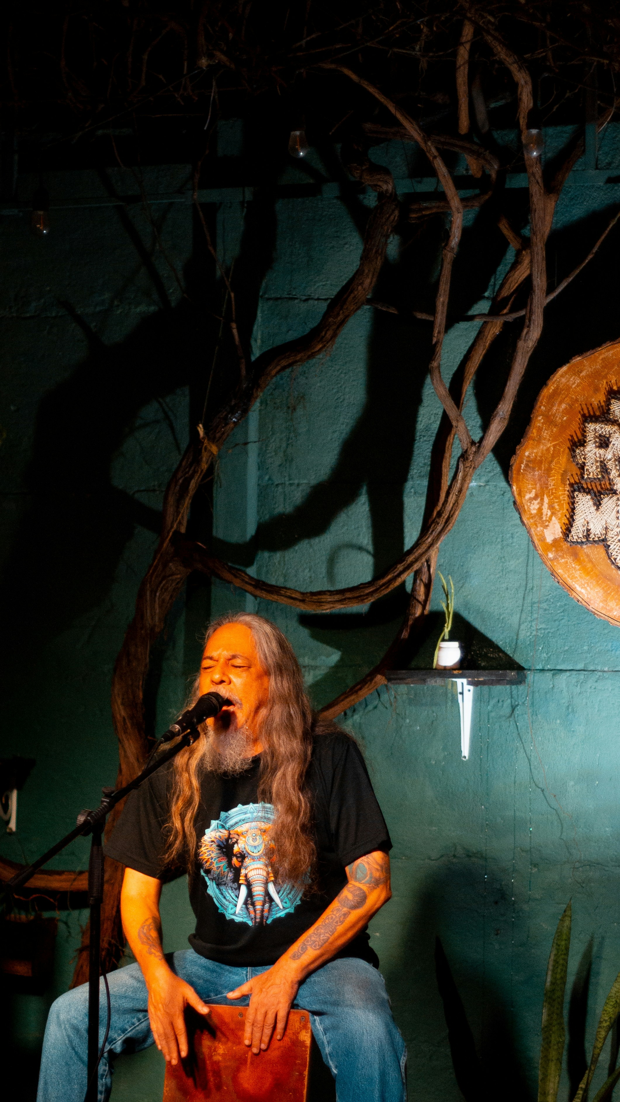 Cajón-Driven Serenade Amid Teal Walls and Tangled Vines