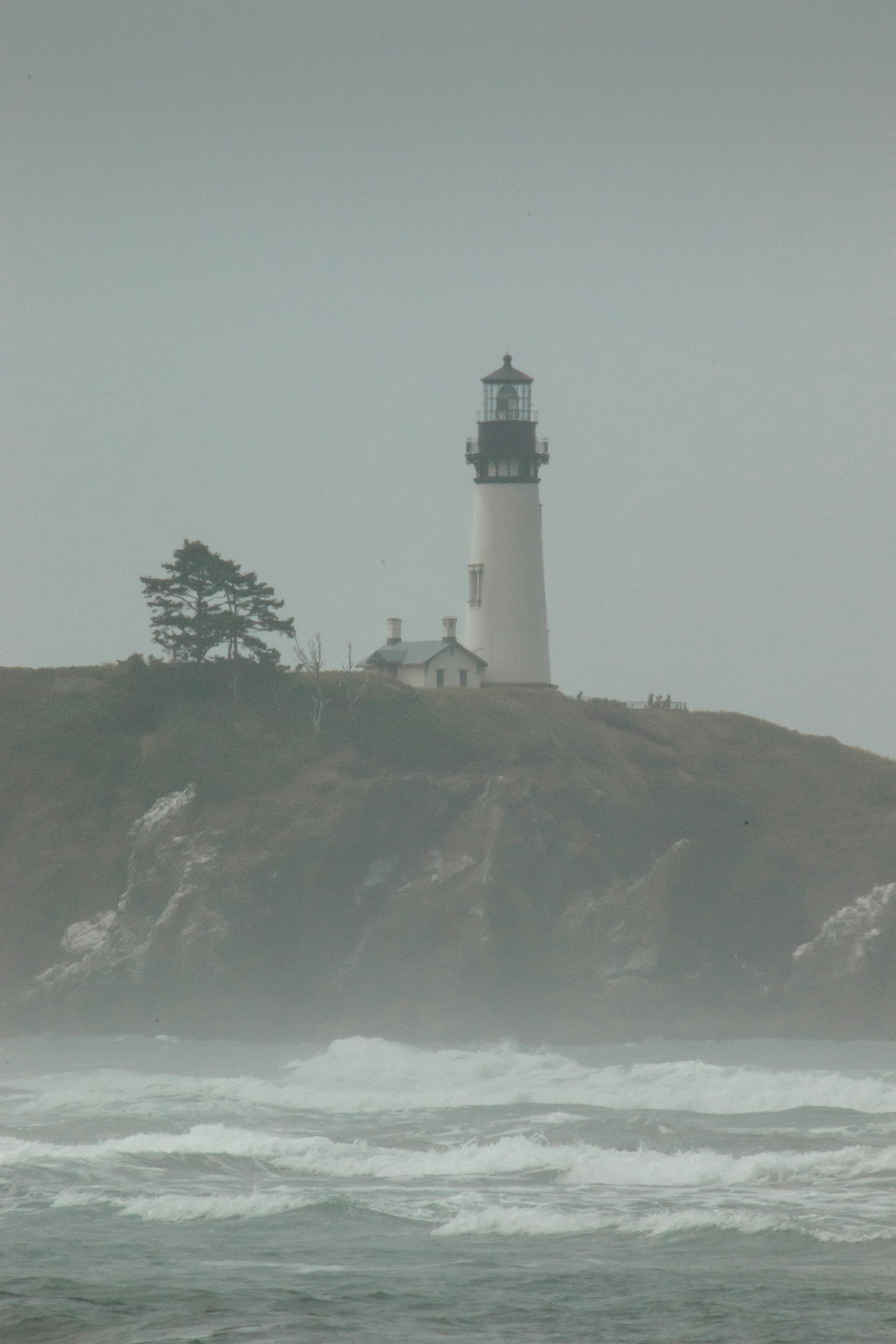 Harbor Mist and the Sentinel: Lighthouse on a Wind-Swept Headland