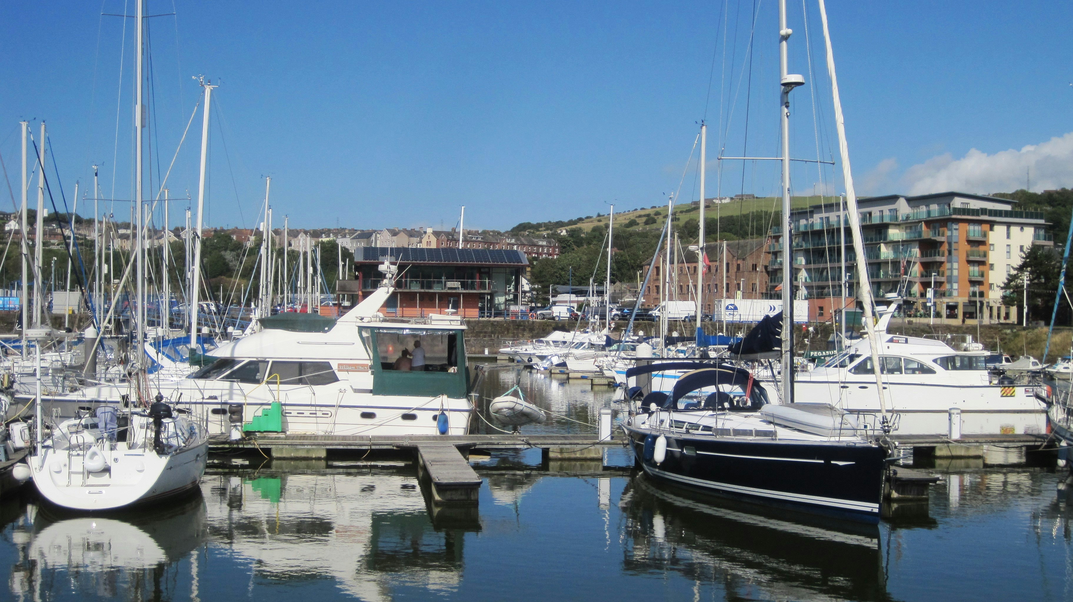 A harbor filled with lots of white boats photo – Free Harbour Image on ...