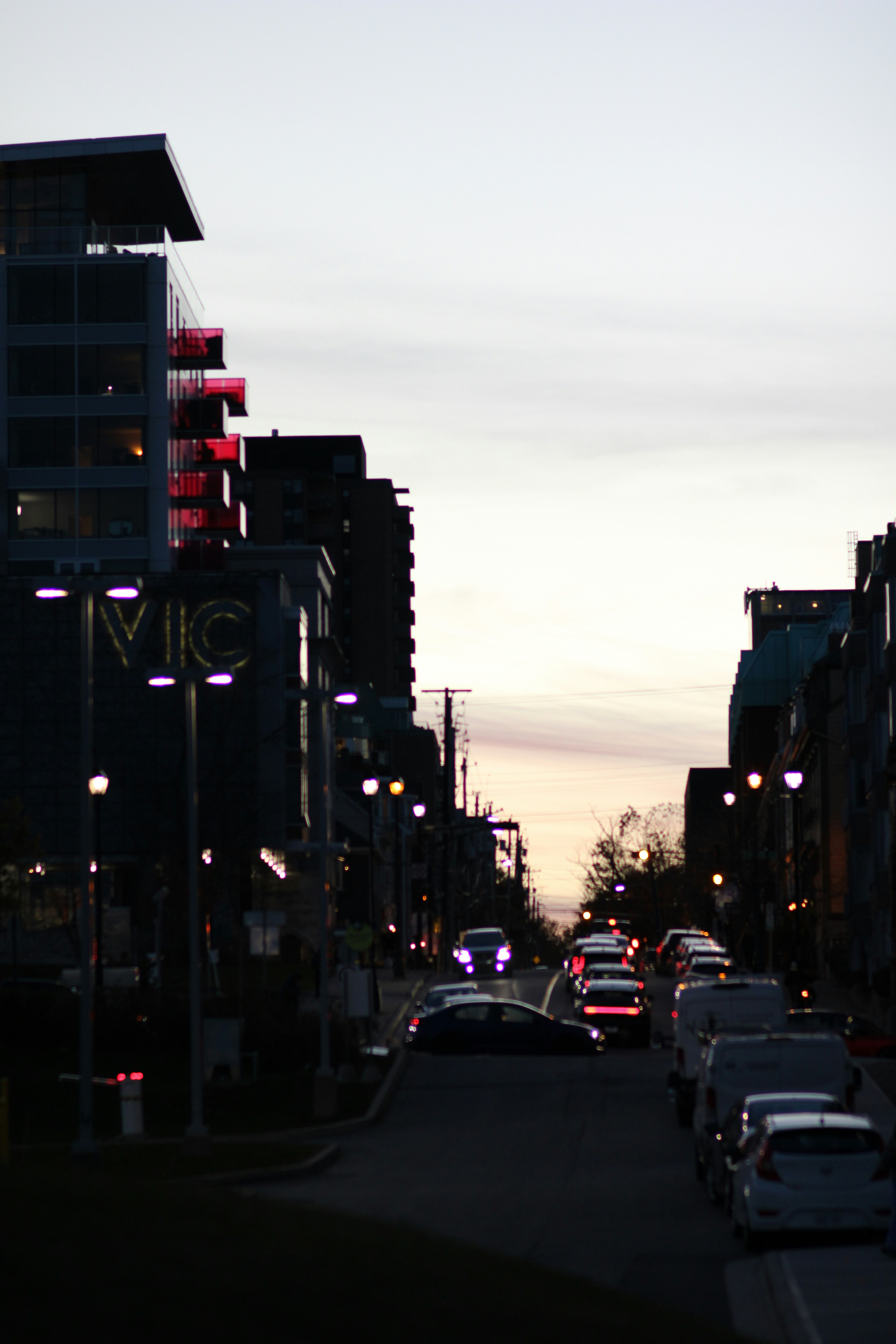 Photo by Dariia Lemesheva with Canon EOS 2000D