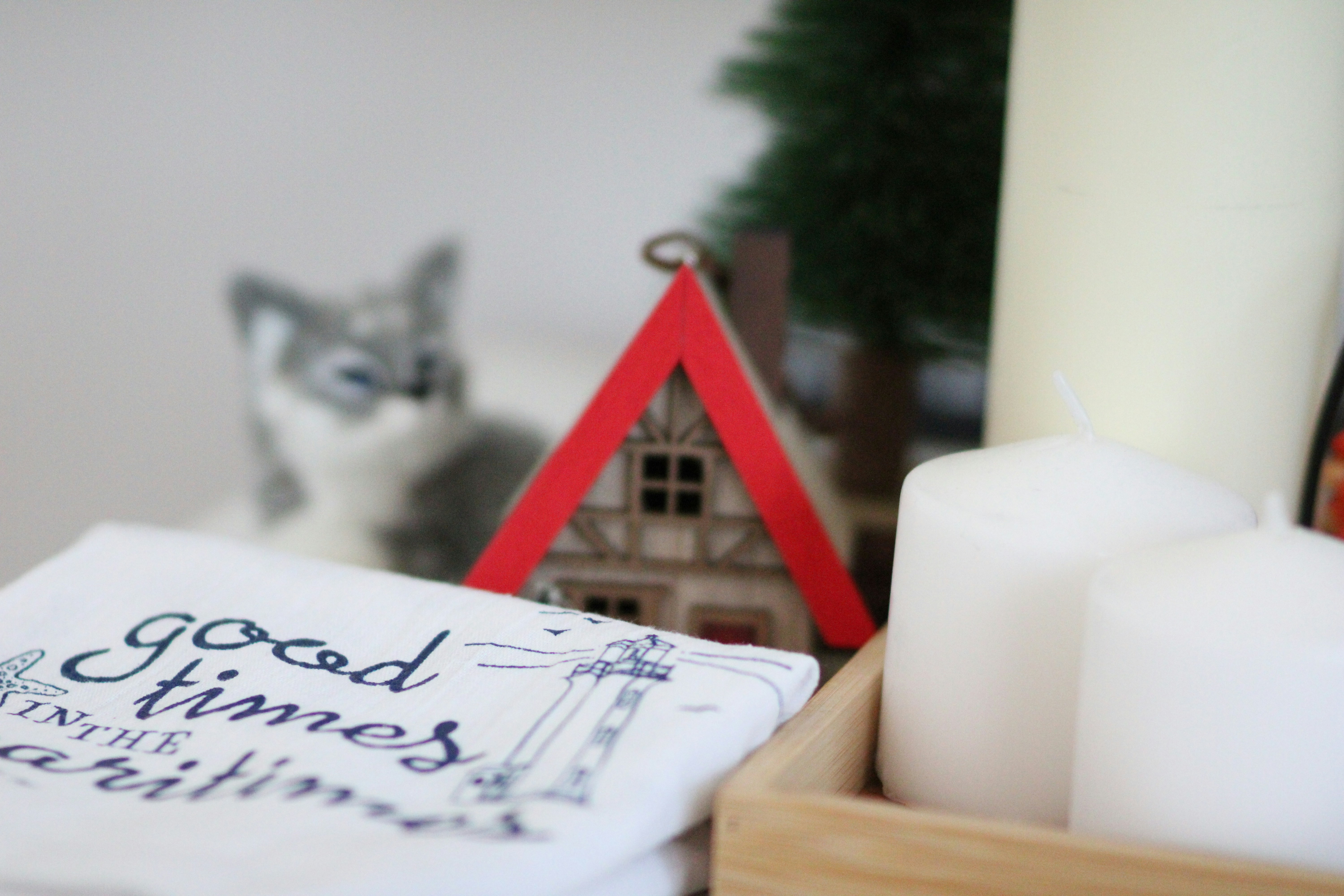 Miniature House by the Candlelit Corner with a Curious Cat