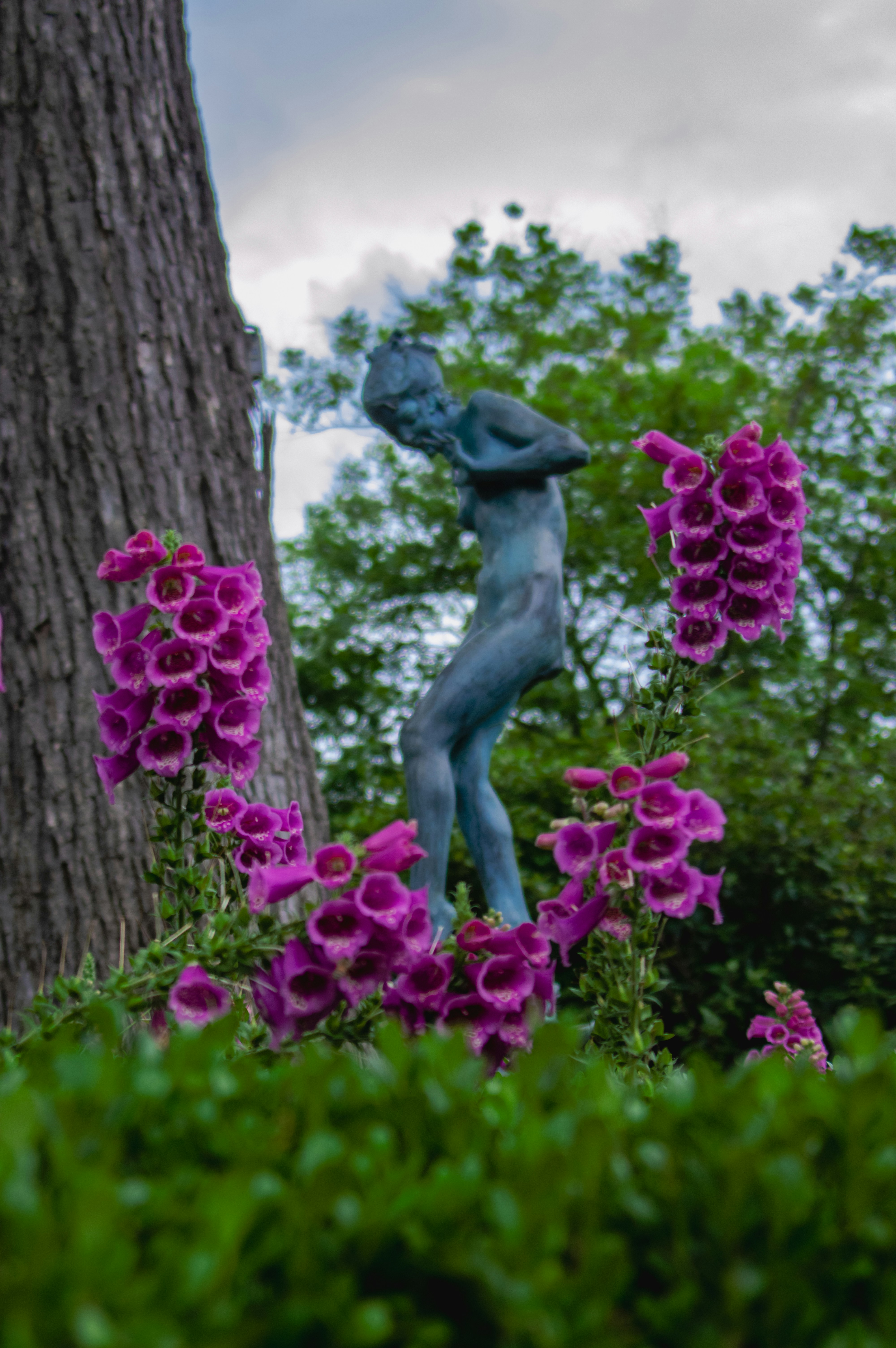 Bronze Muse Among Pink Foxglove