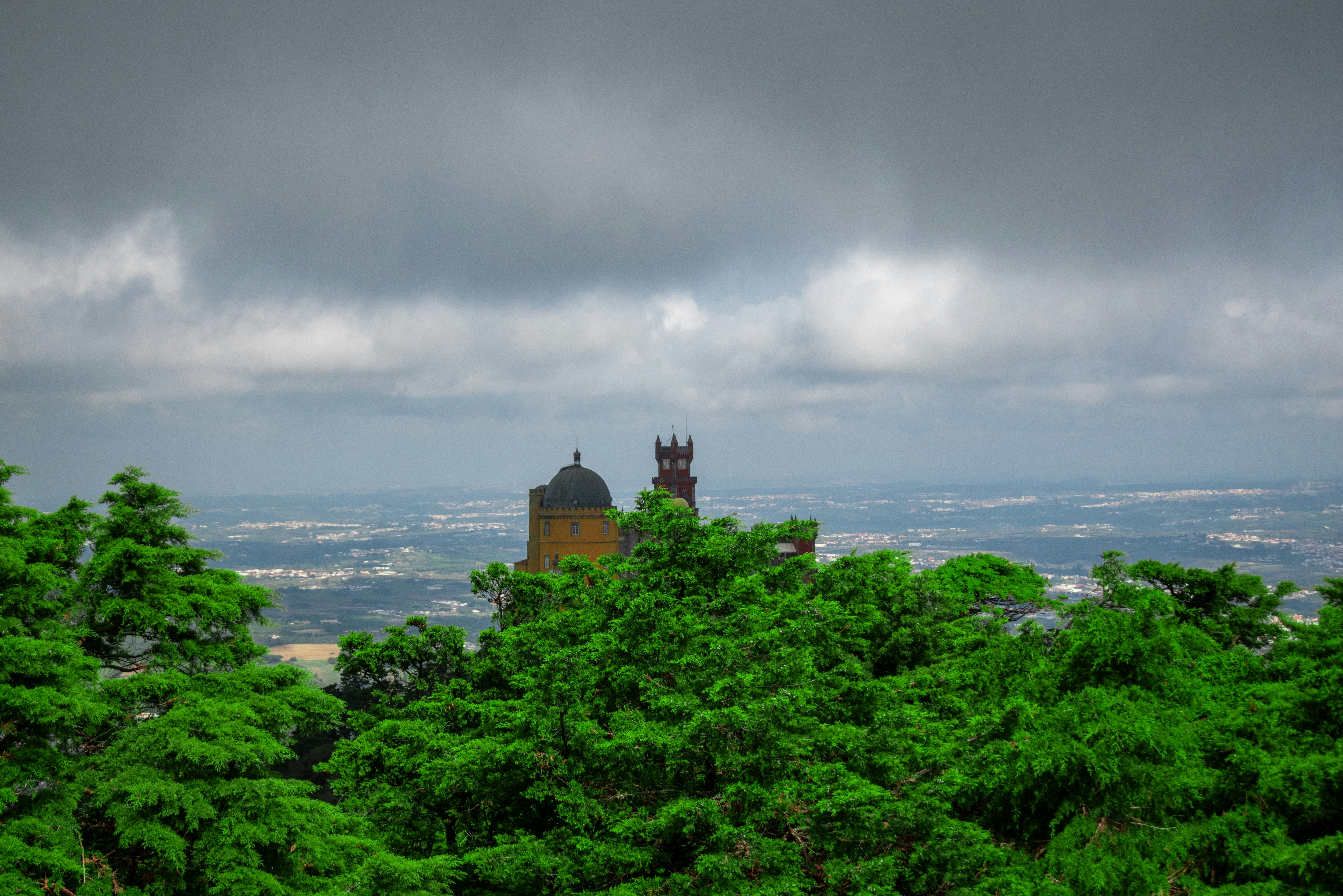 Emerging Monuments Amidst Lush Greenery