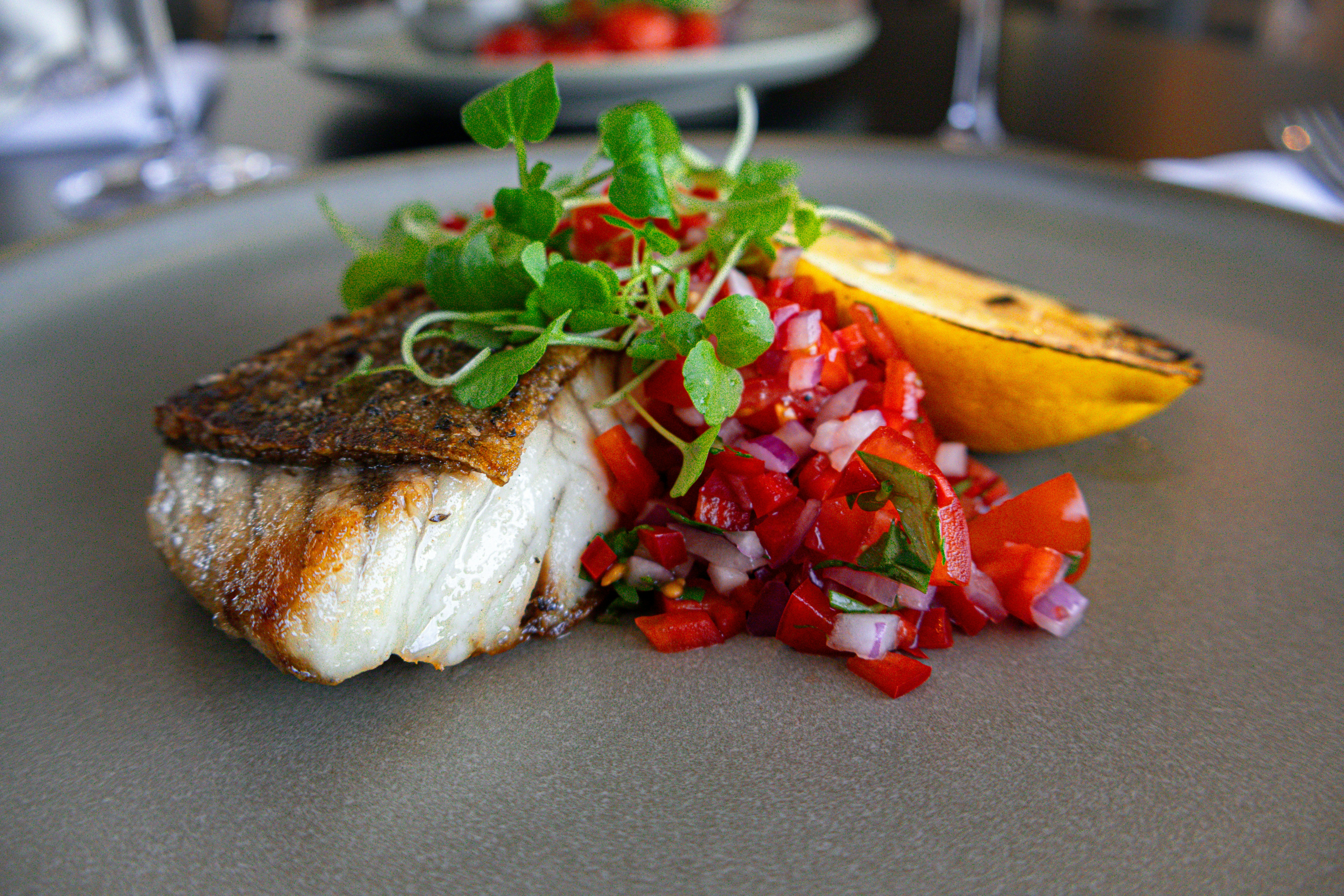 Culinary Harmony: Grilled Fish with Fresh Salsa