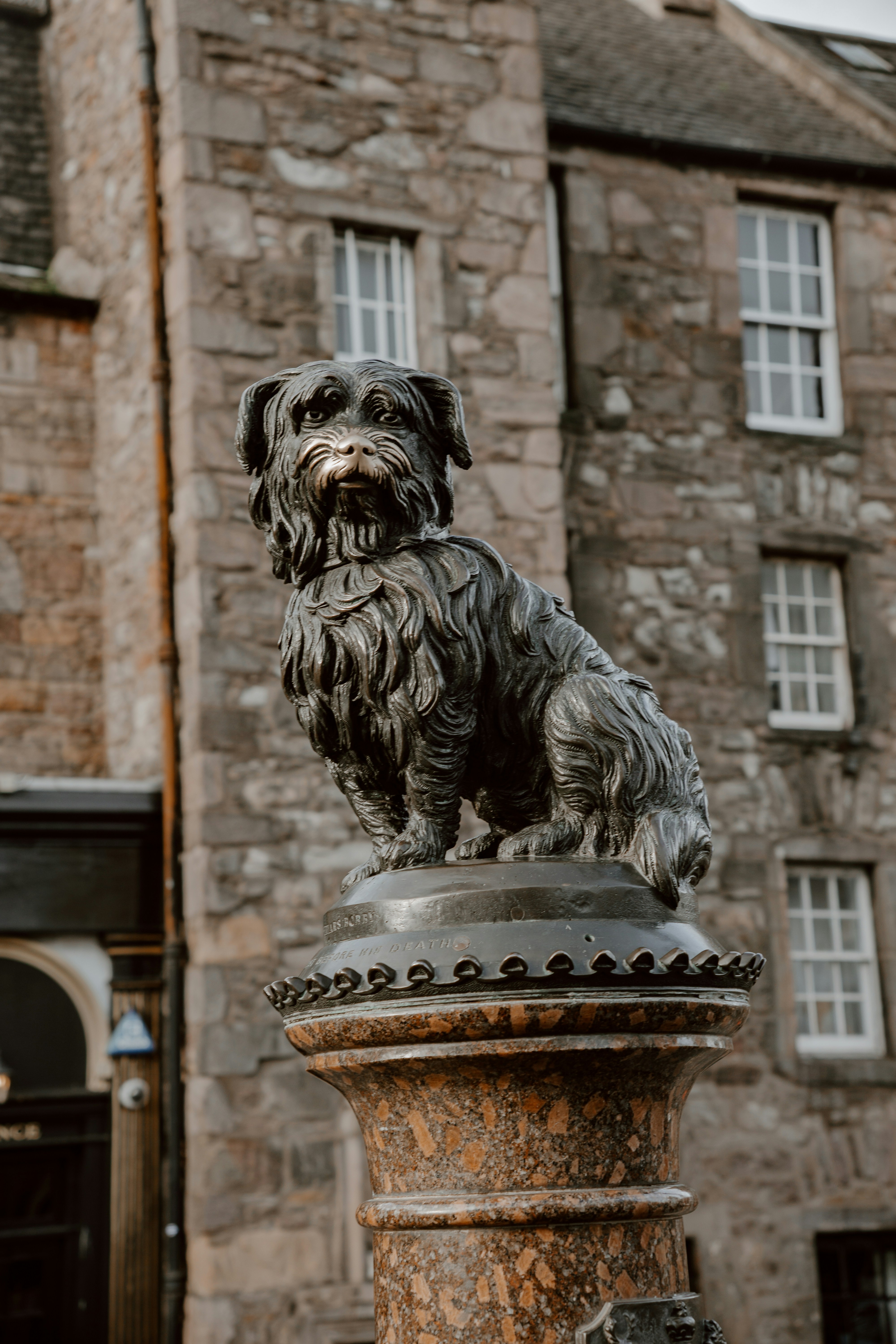 Guardians of the Street: A Weathered Terrier Statue on a Carved Pedestal
