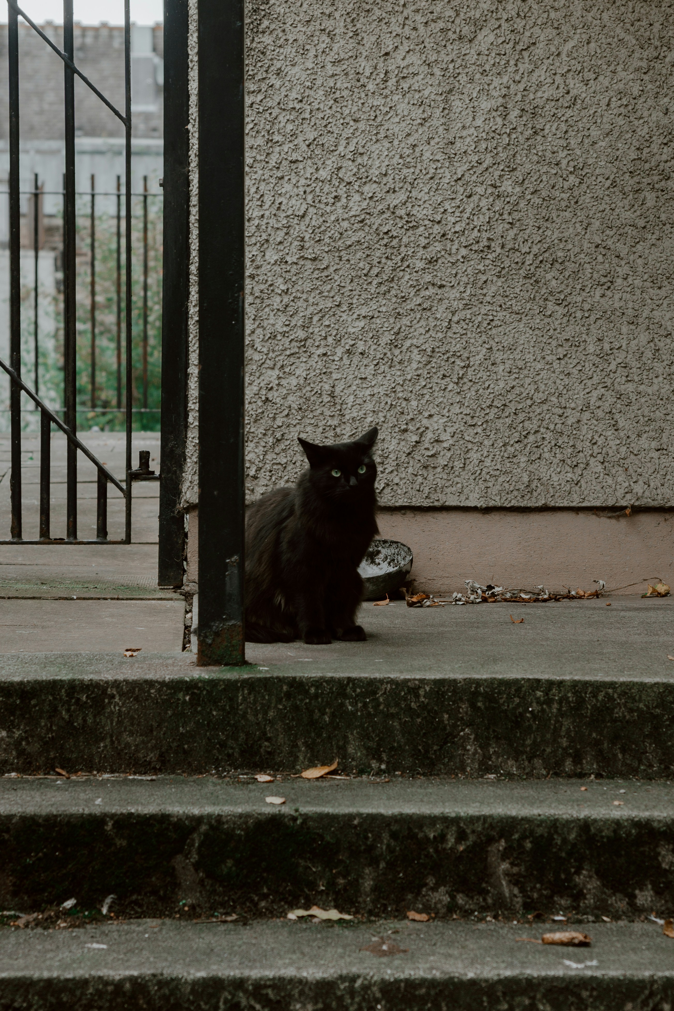 Shadowed Watcher by the Stoop: A Black Cat on a Textured Urban Threshold
