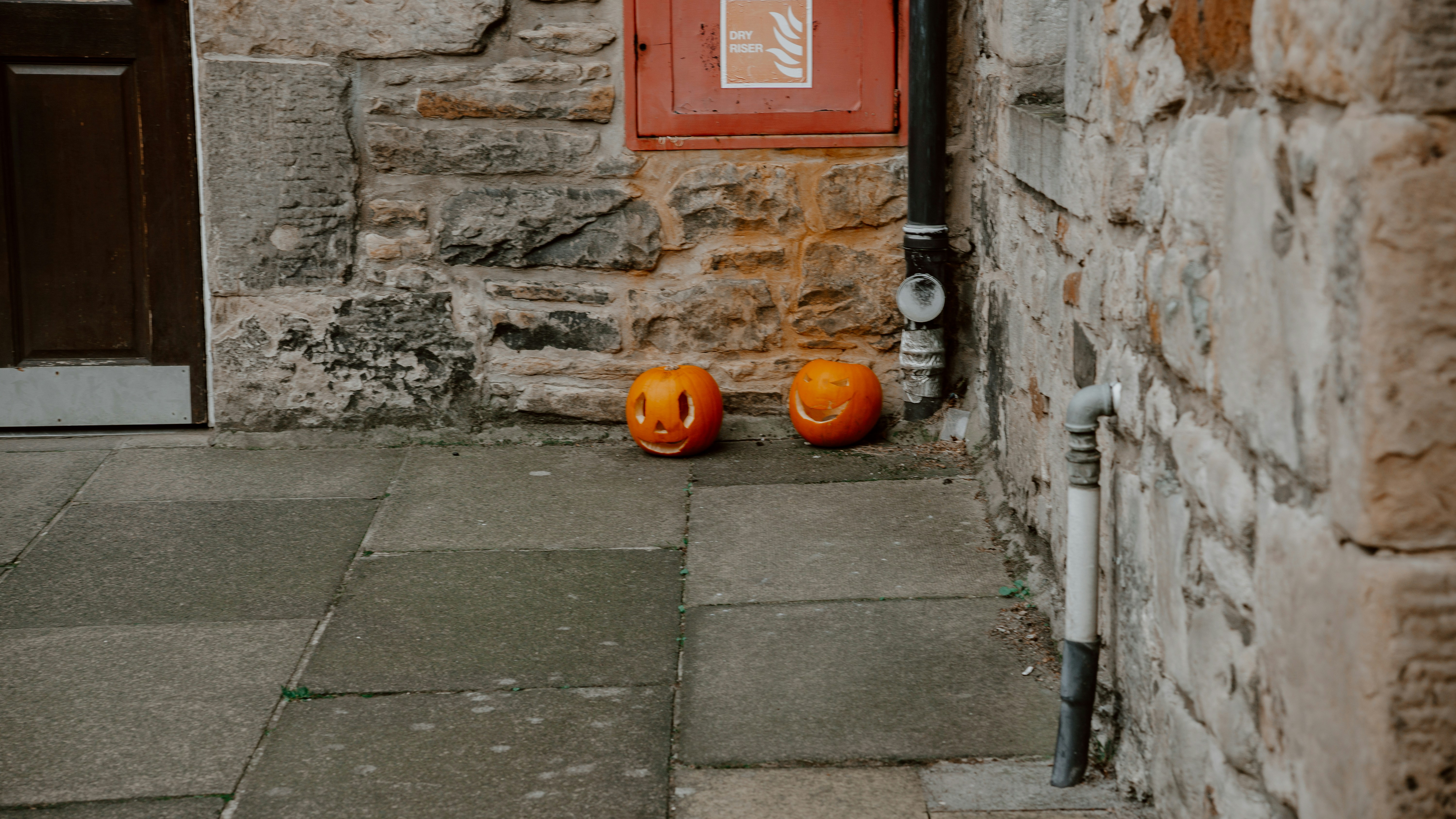 A couple of pumpkins sitting on the side of a building photo – Free ...