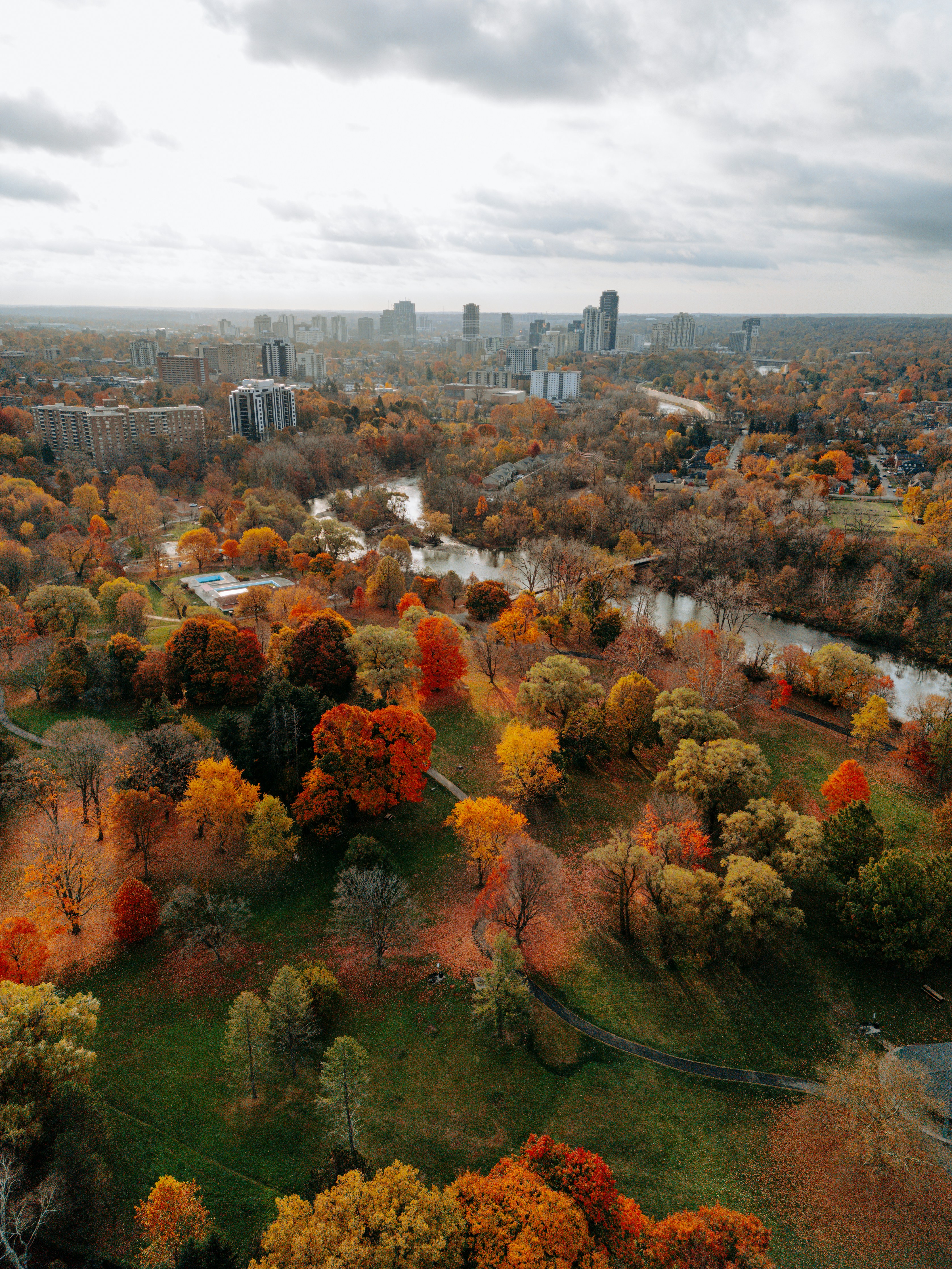 Autumn Canopy Over the River: Aerial View of a City Park