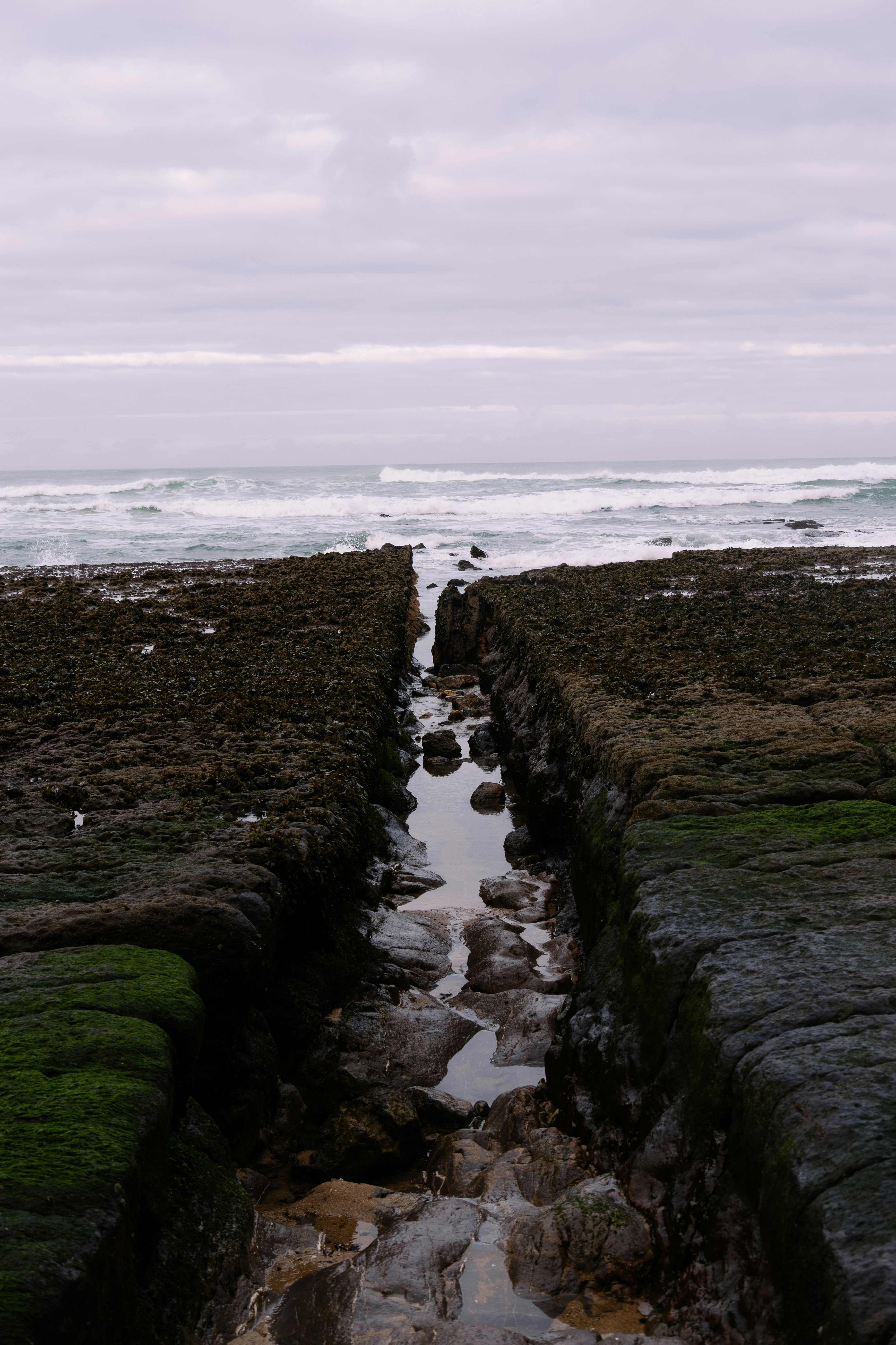 Moss-Crowned Channel to the Sea