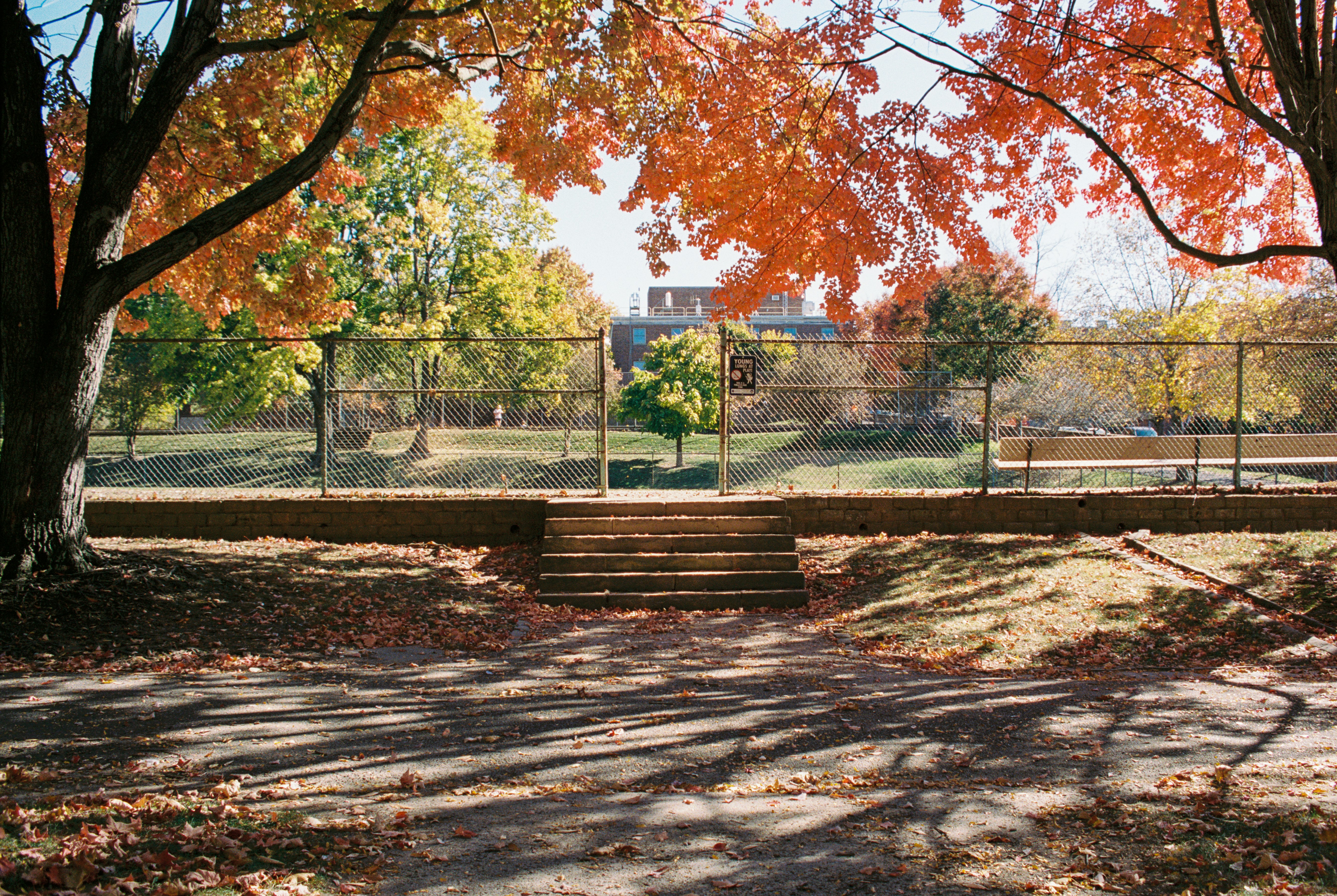 A park with benches and trees in the fall photo – Free Pittsburgh Image ...