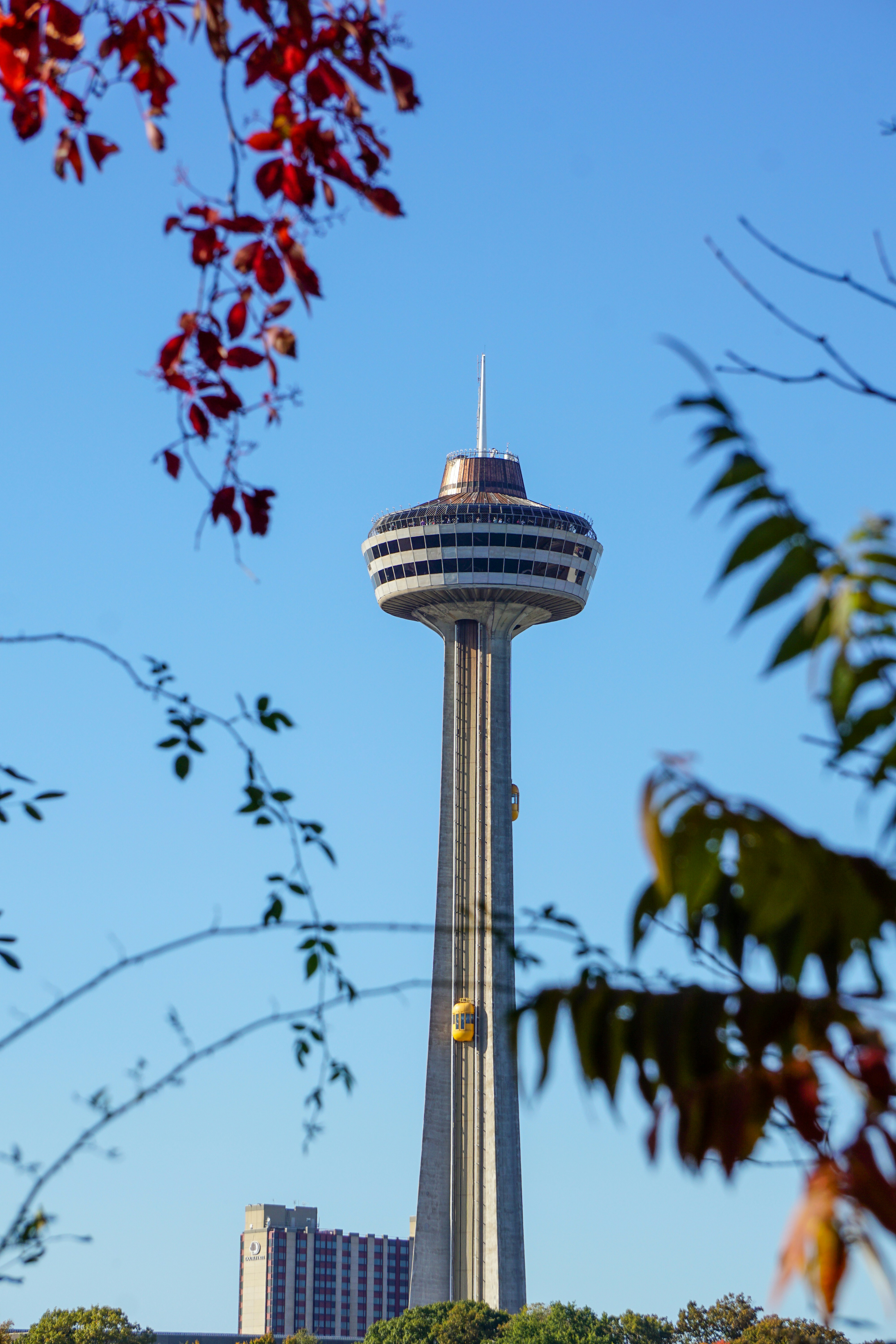 Tower Framed by Scarlet Autumn: The CN Tower Against a Pristine Sky