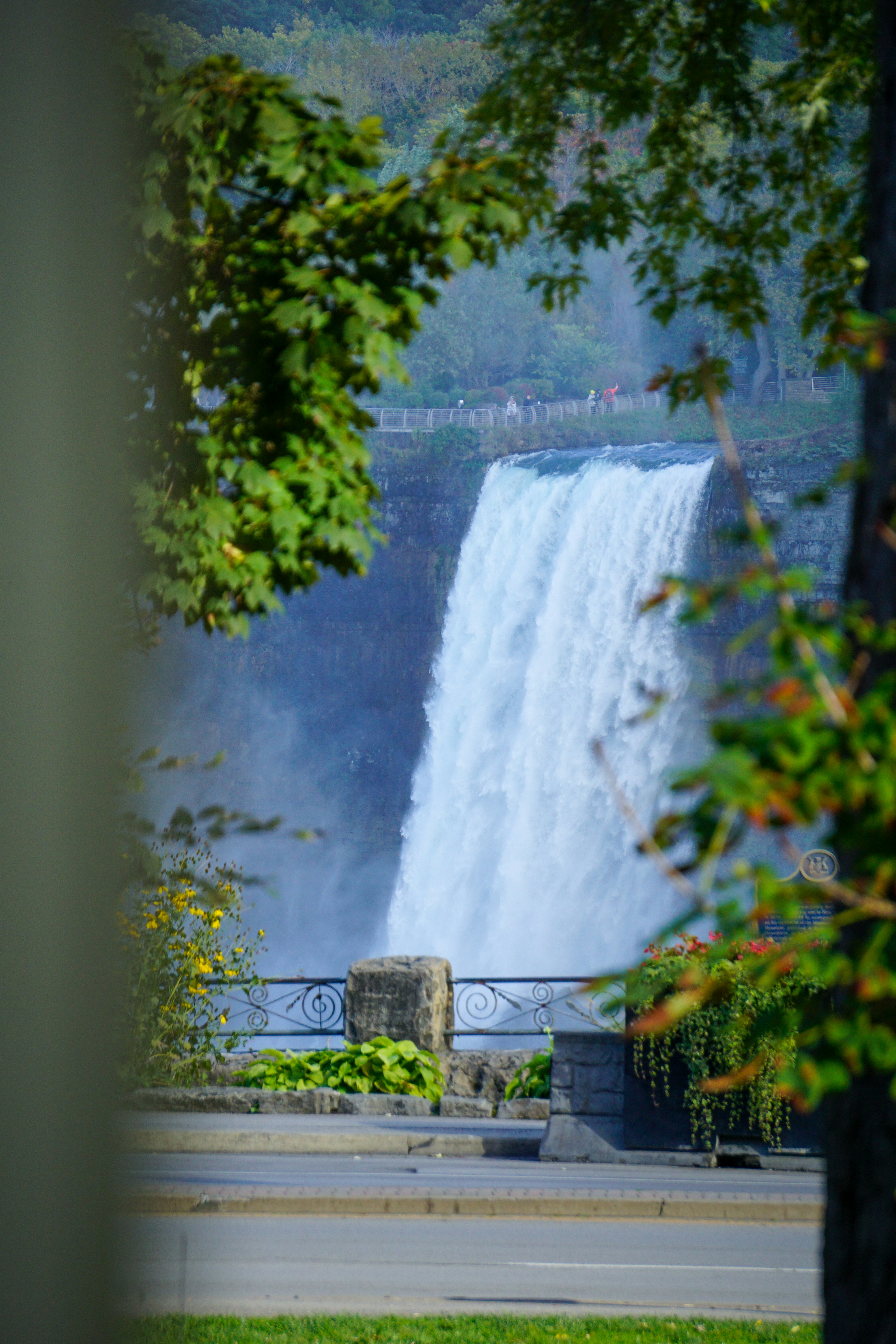 Framed Cascade Overlook: Green Canopy Embraces the Falls