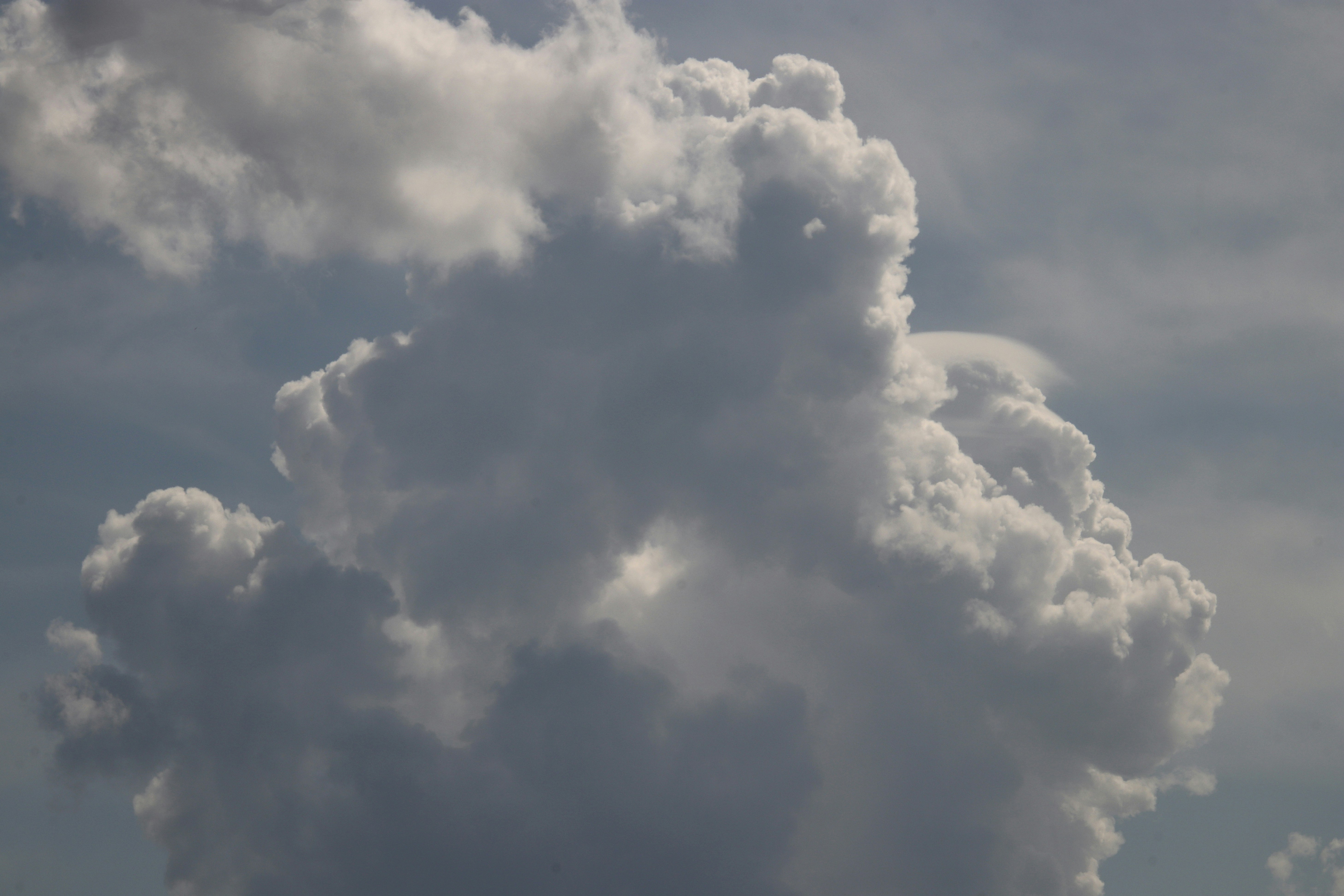 Photo by Alexander Nedviga with Canon EOS 200D