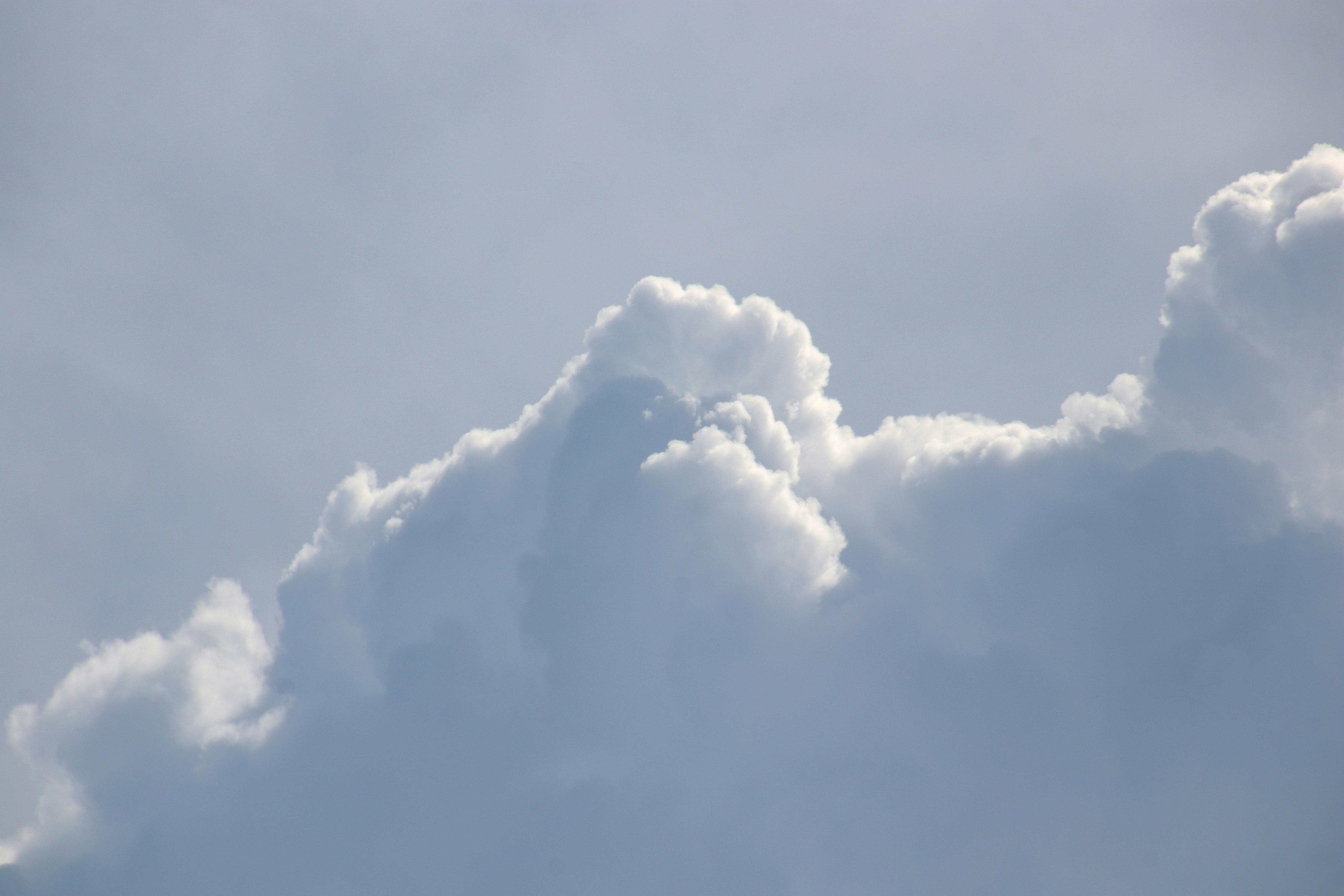 Photo by Alexander Nedviga with Canon EOS 200D