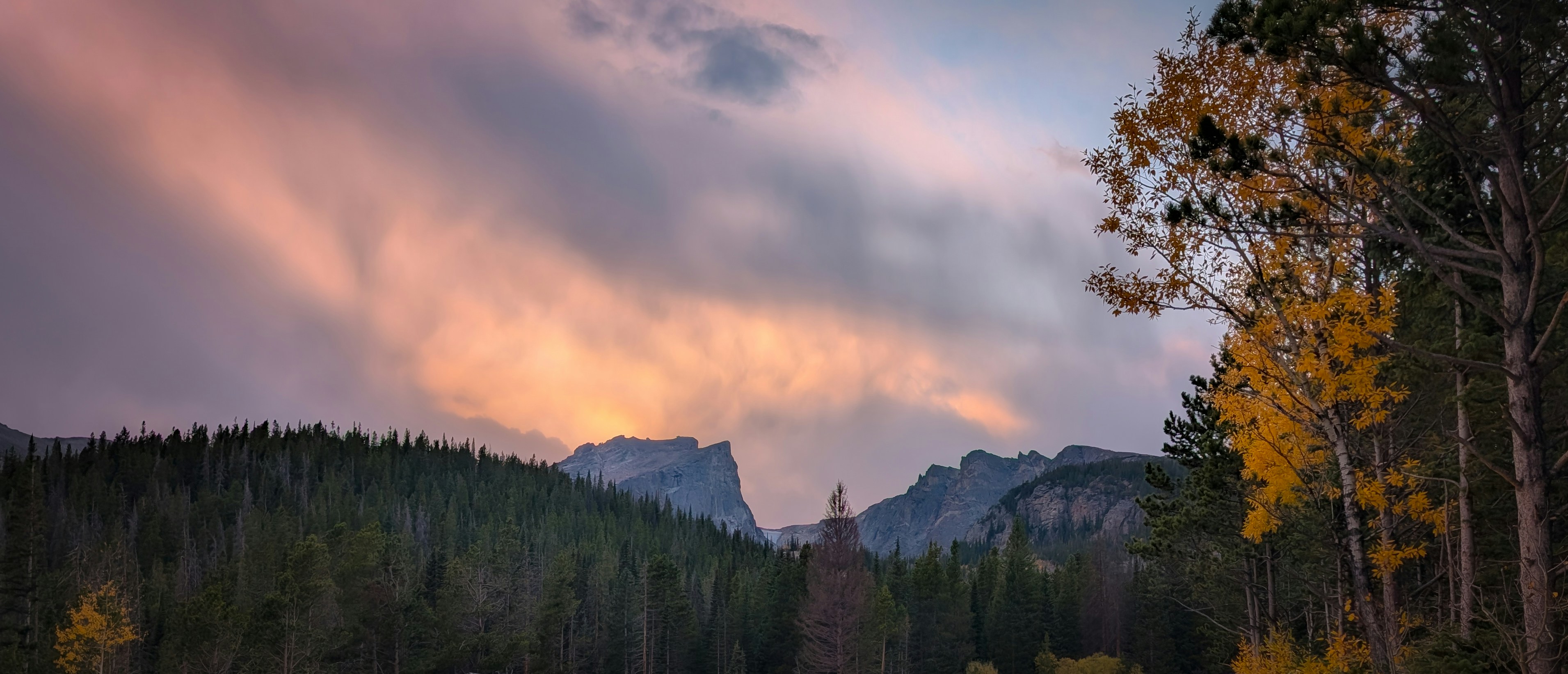 A forest filled with lots of trees under a cloudy sky photo – Free ...
