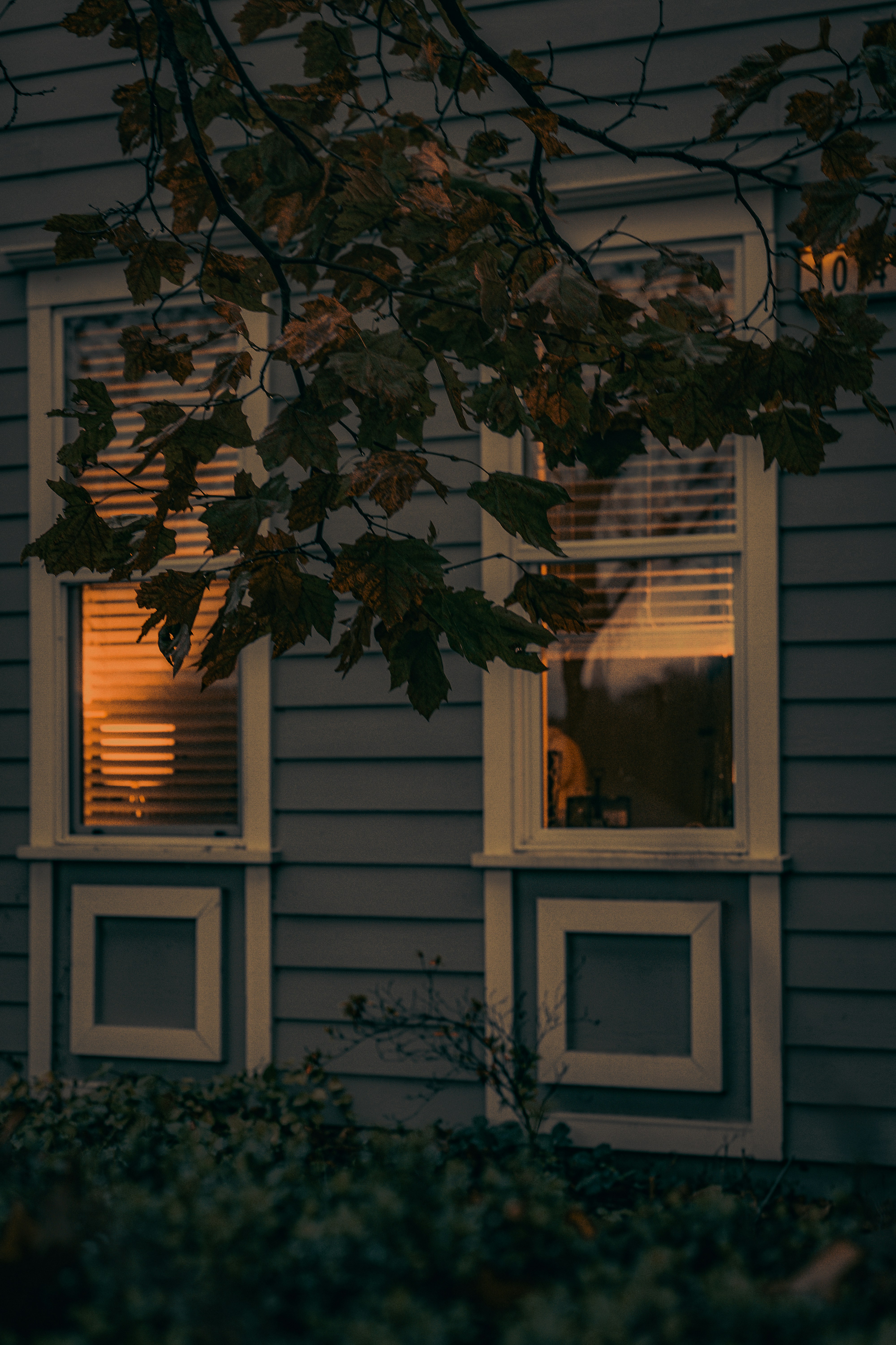 Leaves gently sway in front of warmly lit windows, hinting at the cozy ambiance within the home. The scene captures the essence of a tranquil autumn evening.