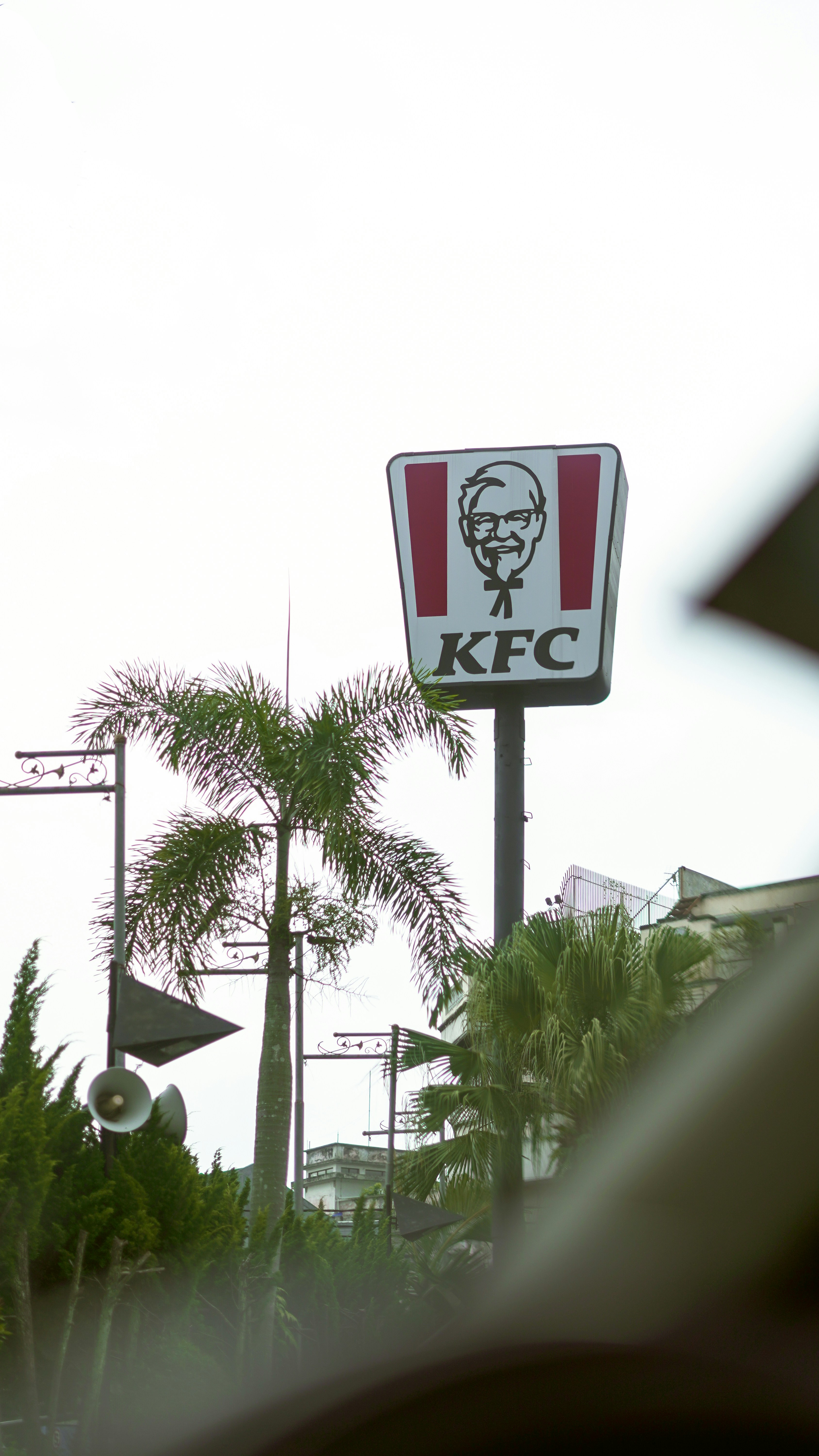 A kfc sign in front of some palm trees photo – Free Arecaceae Image on ...