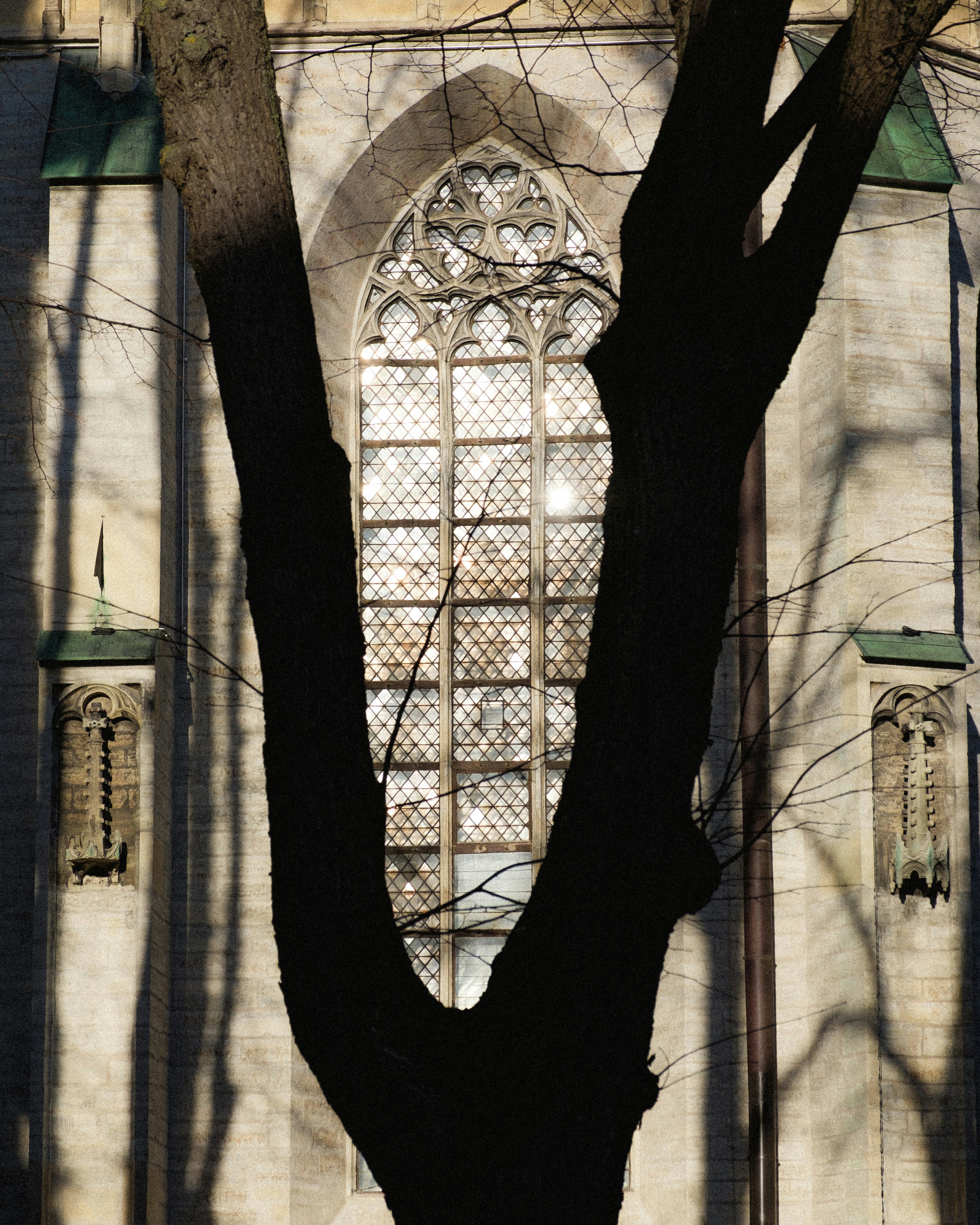 Gothic Lancet Window Framed by Tree Trunks in Dappled Afternoon Light