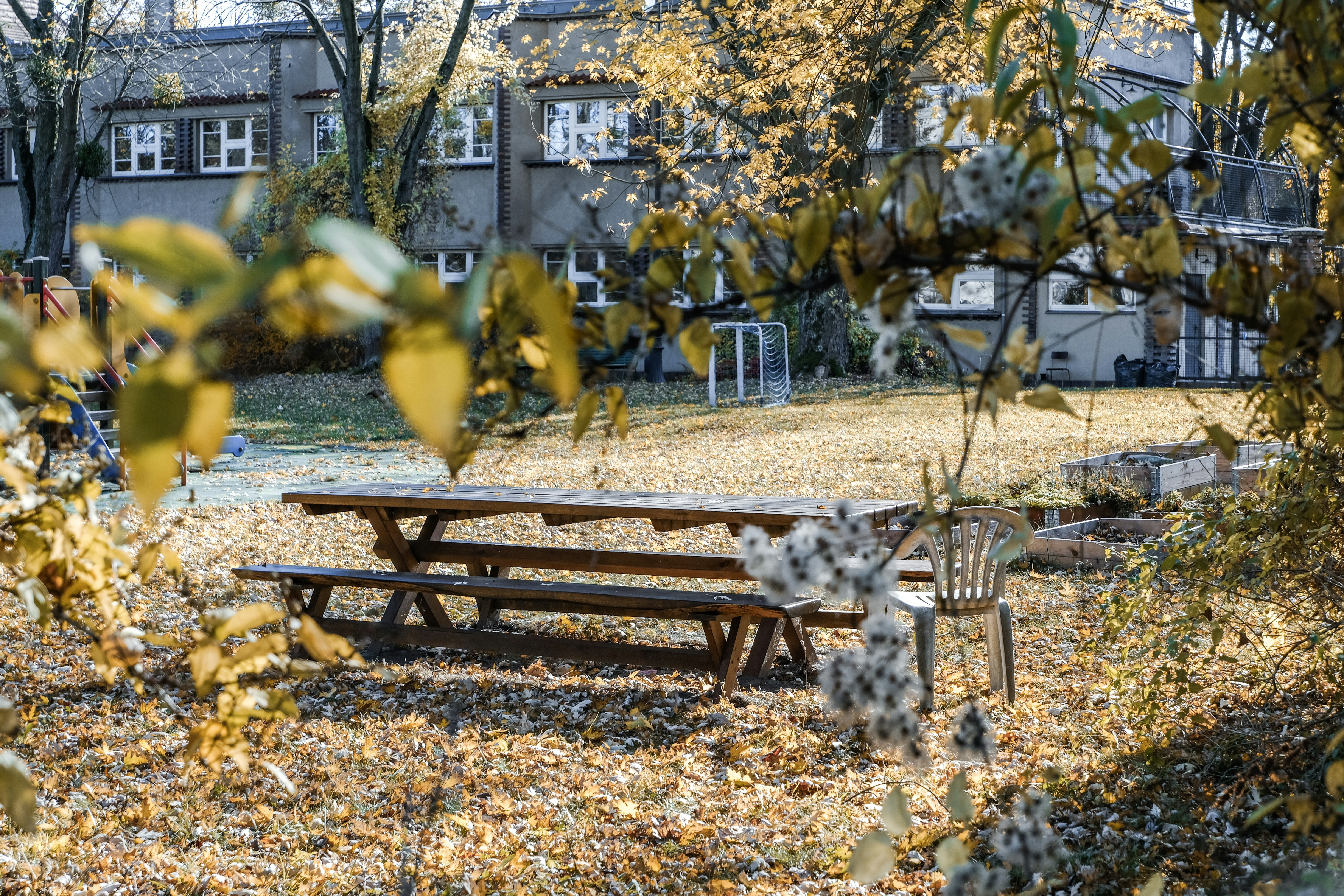 Golden Light and Quiet: Picnic Table Amid Autumn Leaf Carpet