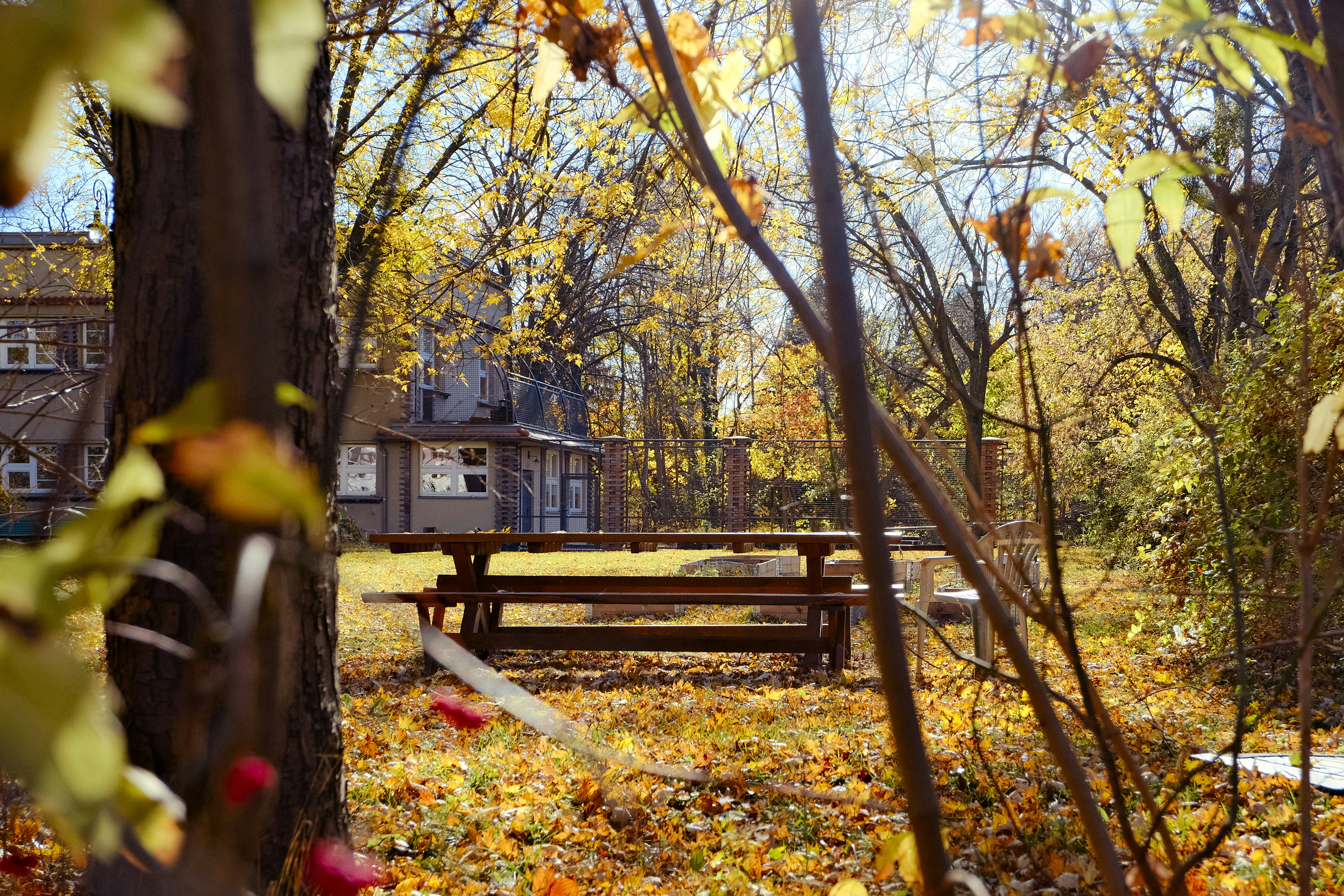 A park bench surrounded by trees and leaves