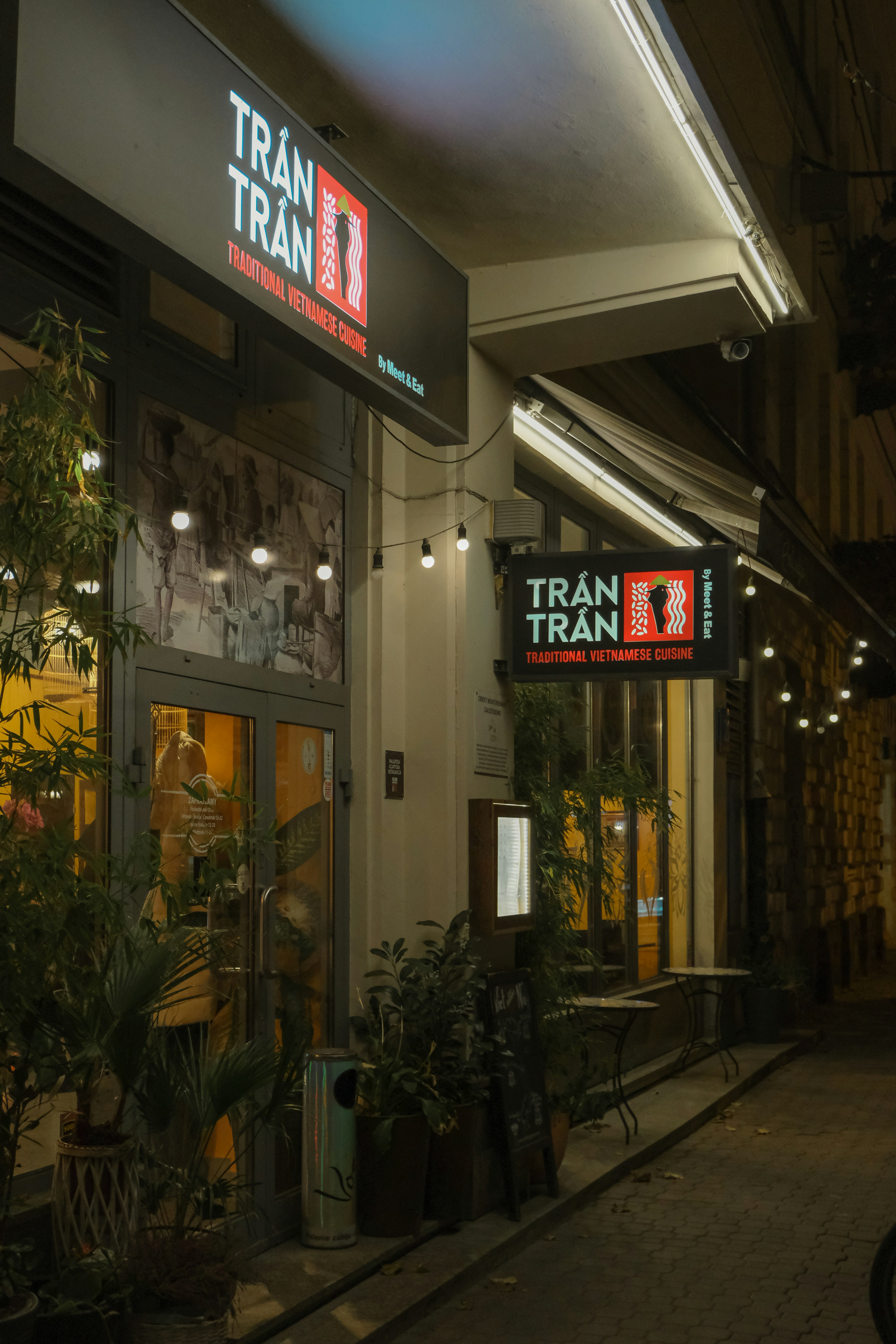 Neon Tranquility: Night Signage on a Vietnamese Café Alley