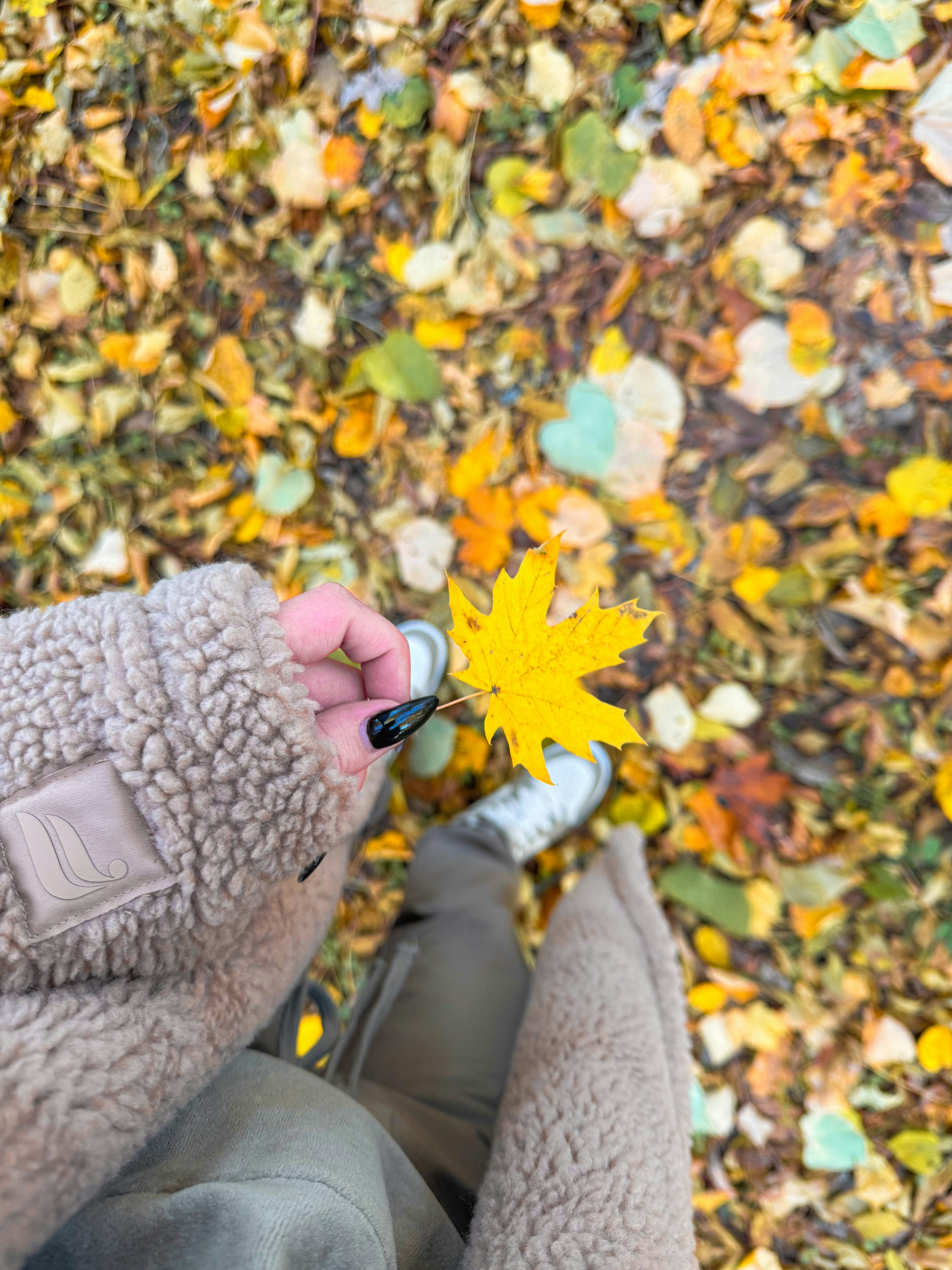 Autumn Leaf Gaze: A Yellow Maple Gripped Between Coat Sleeve and Boots