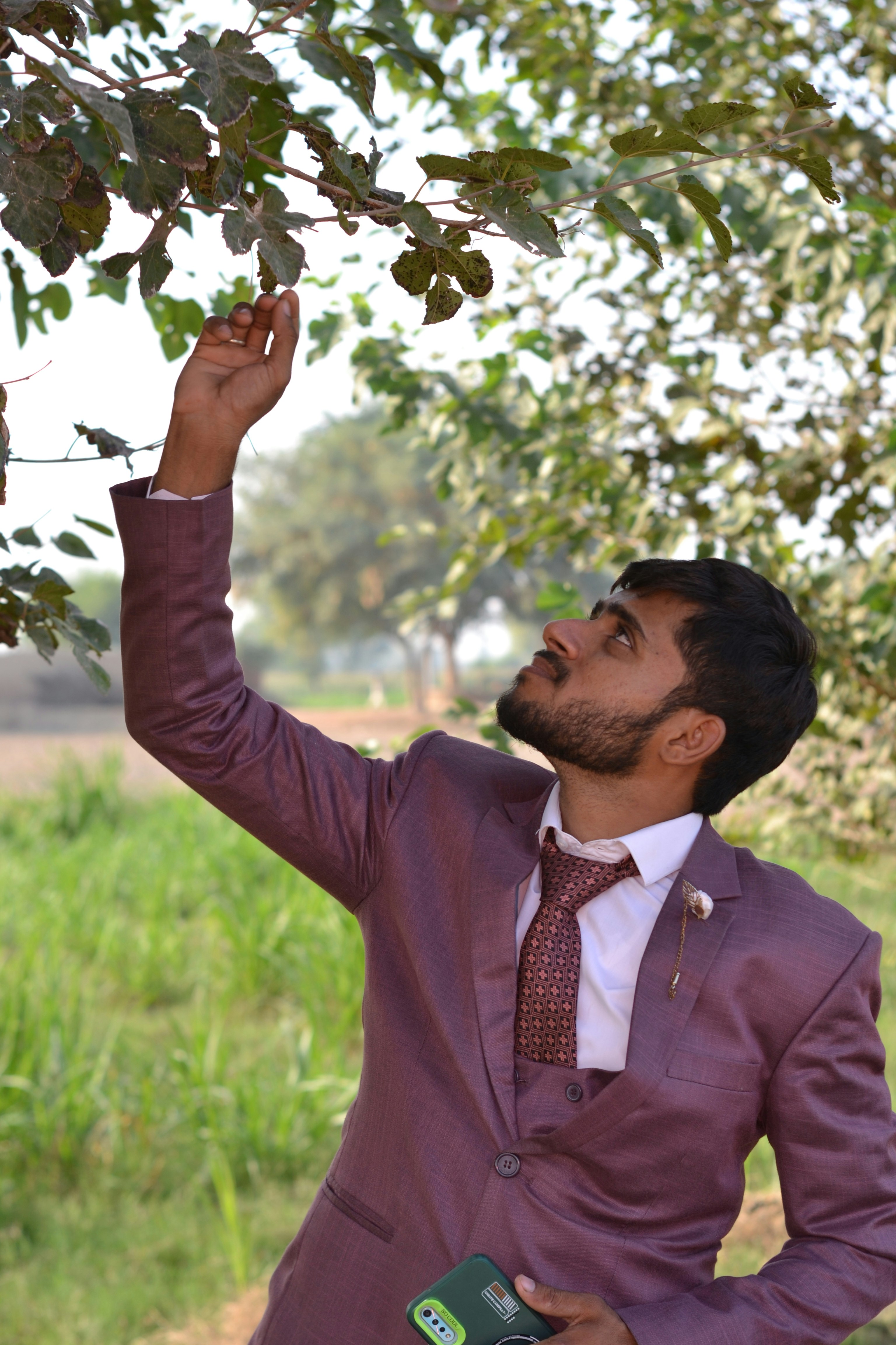 Groomed in a Sunset–Hued Suit Reaches Toward Hidden Leaves
