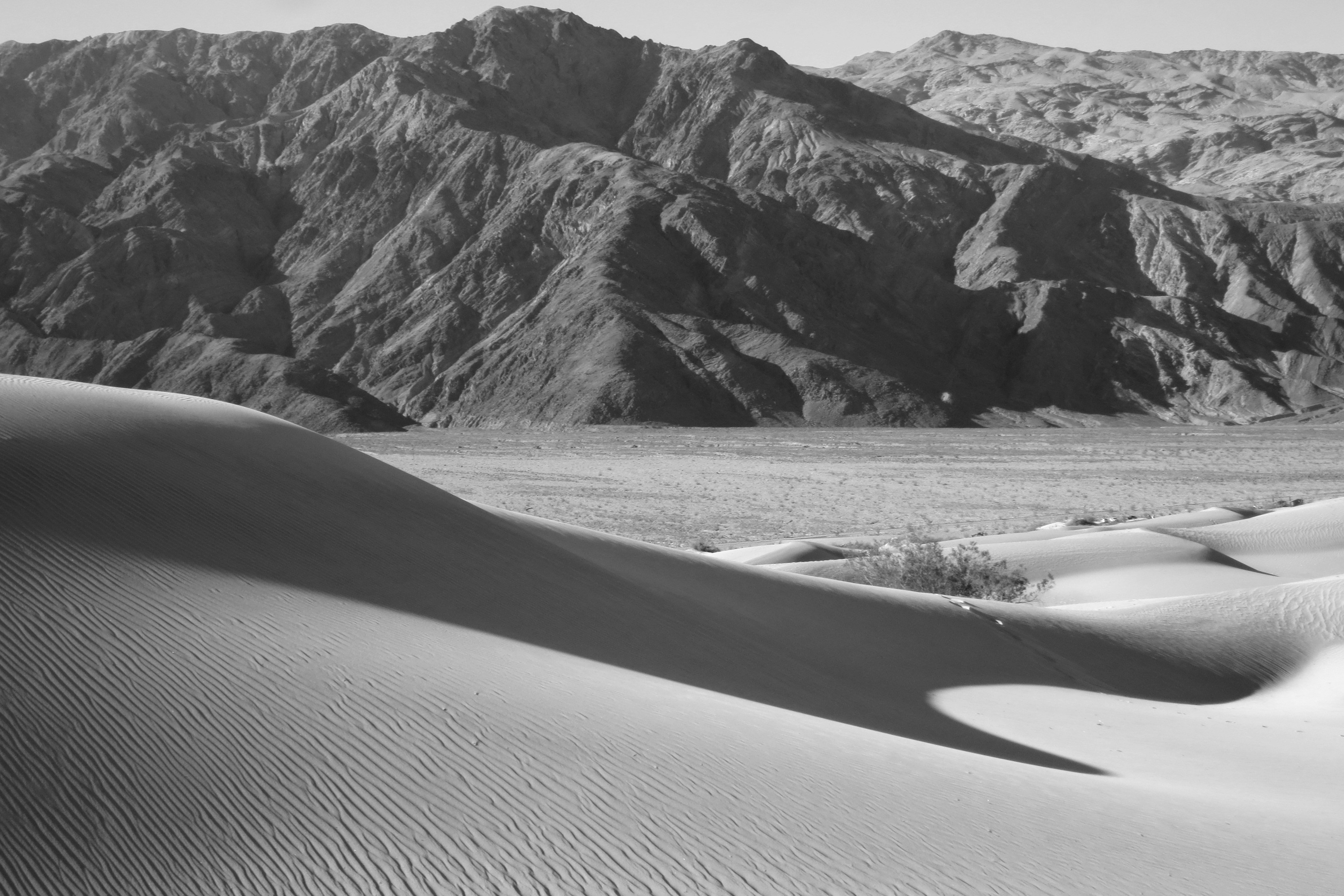 Mesquite Flat sand dunes at Death Valley | A black and white photo of a desert