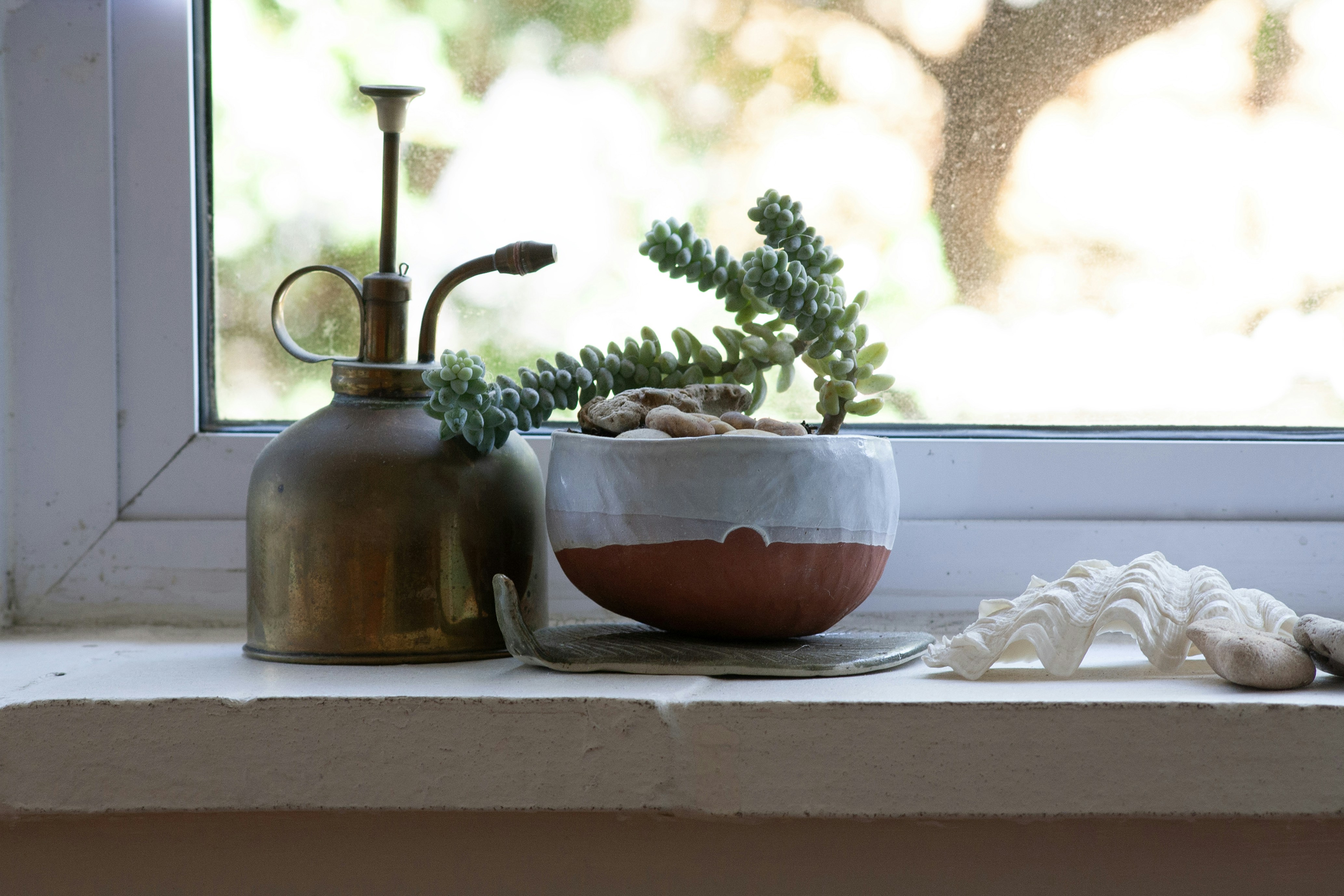 Photo by Amy Harrison with Canon EOS 1000D