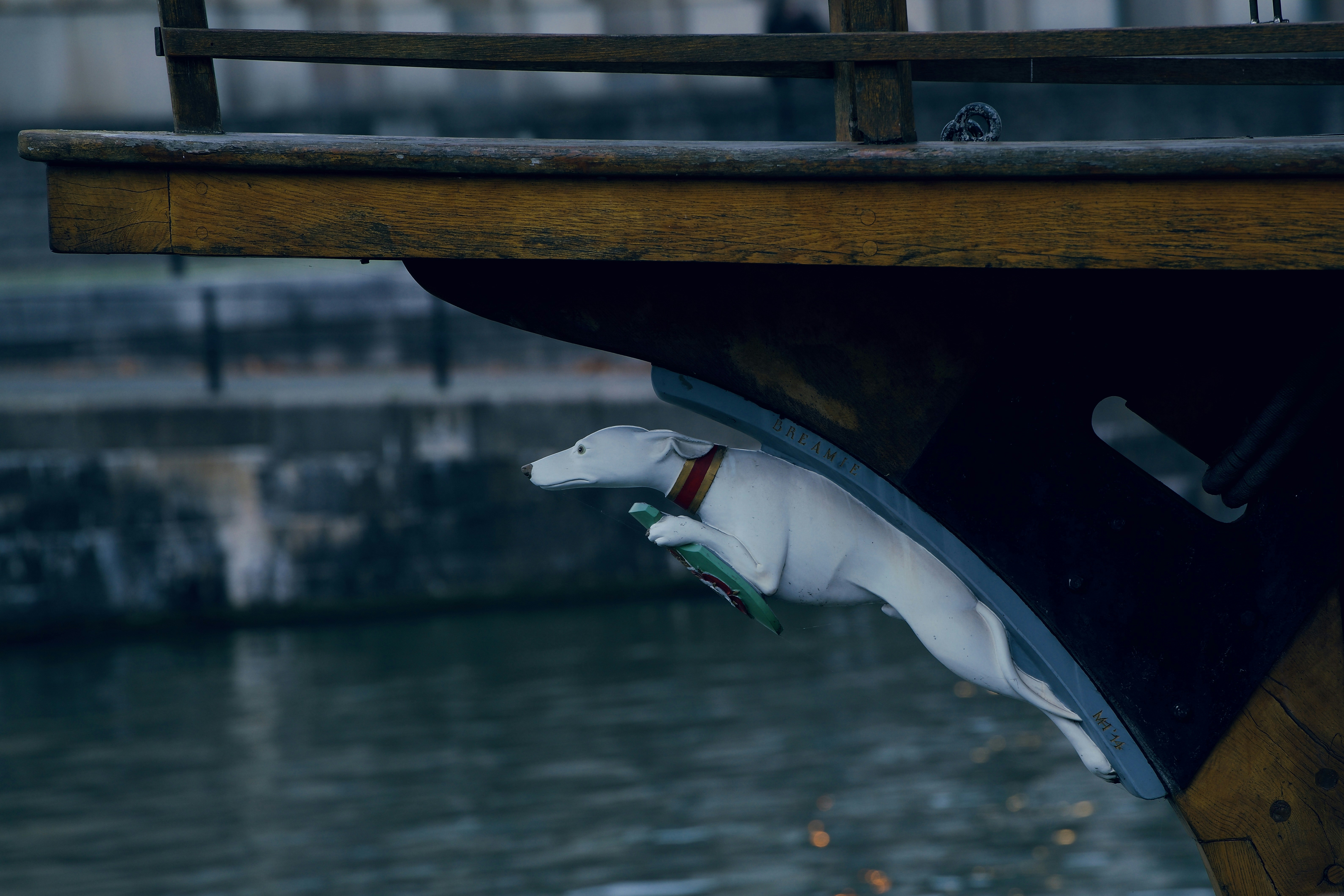 Leaping Gull: A Nautical Moment Under the Bow