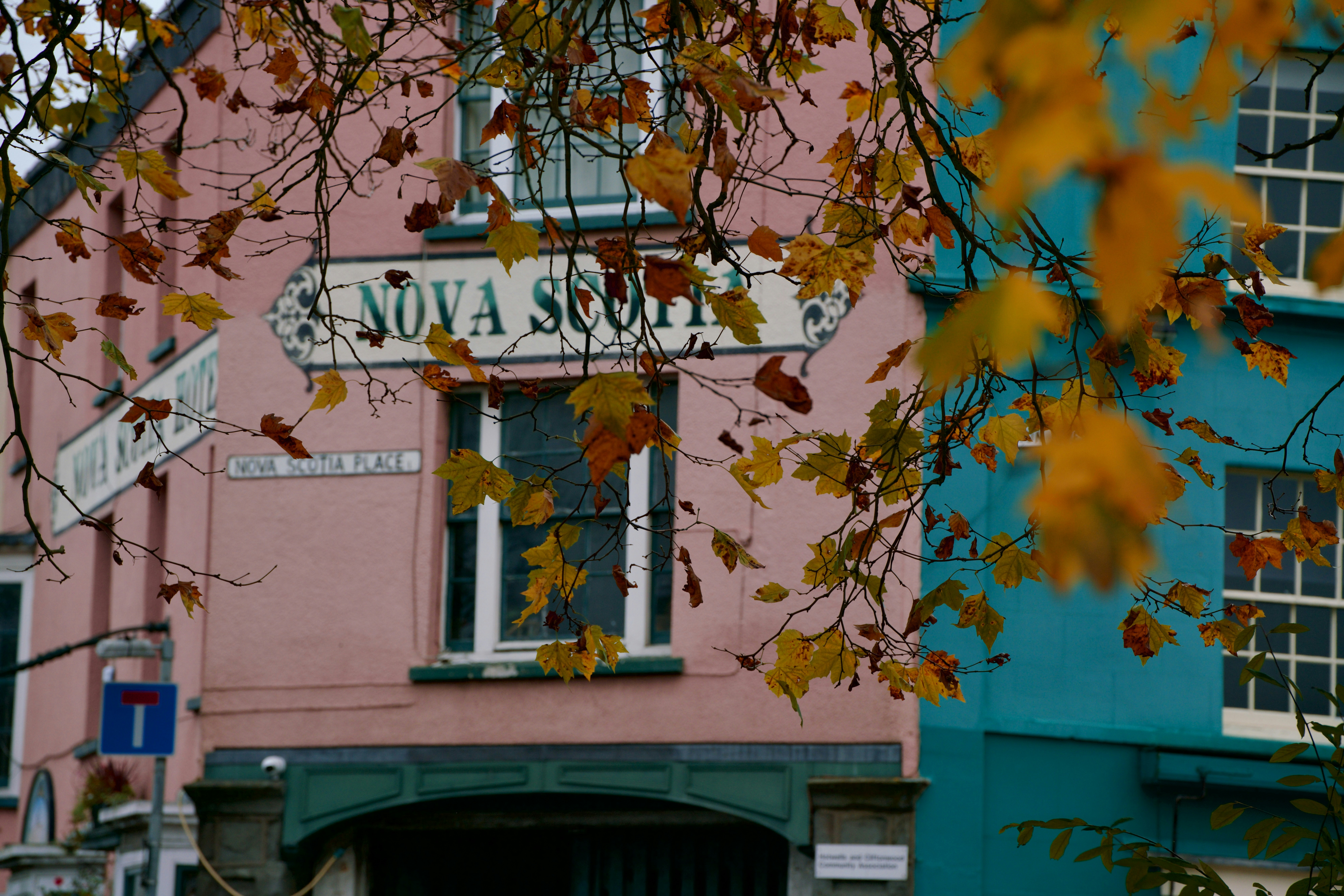 Pastel Facades and Autumn Veil on a Nova Scotia Street Corner