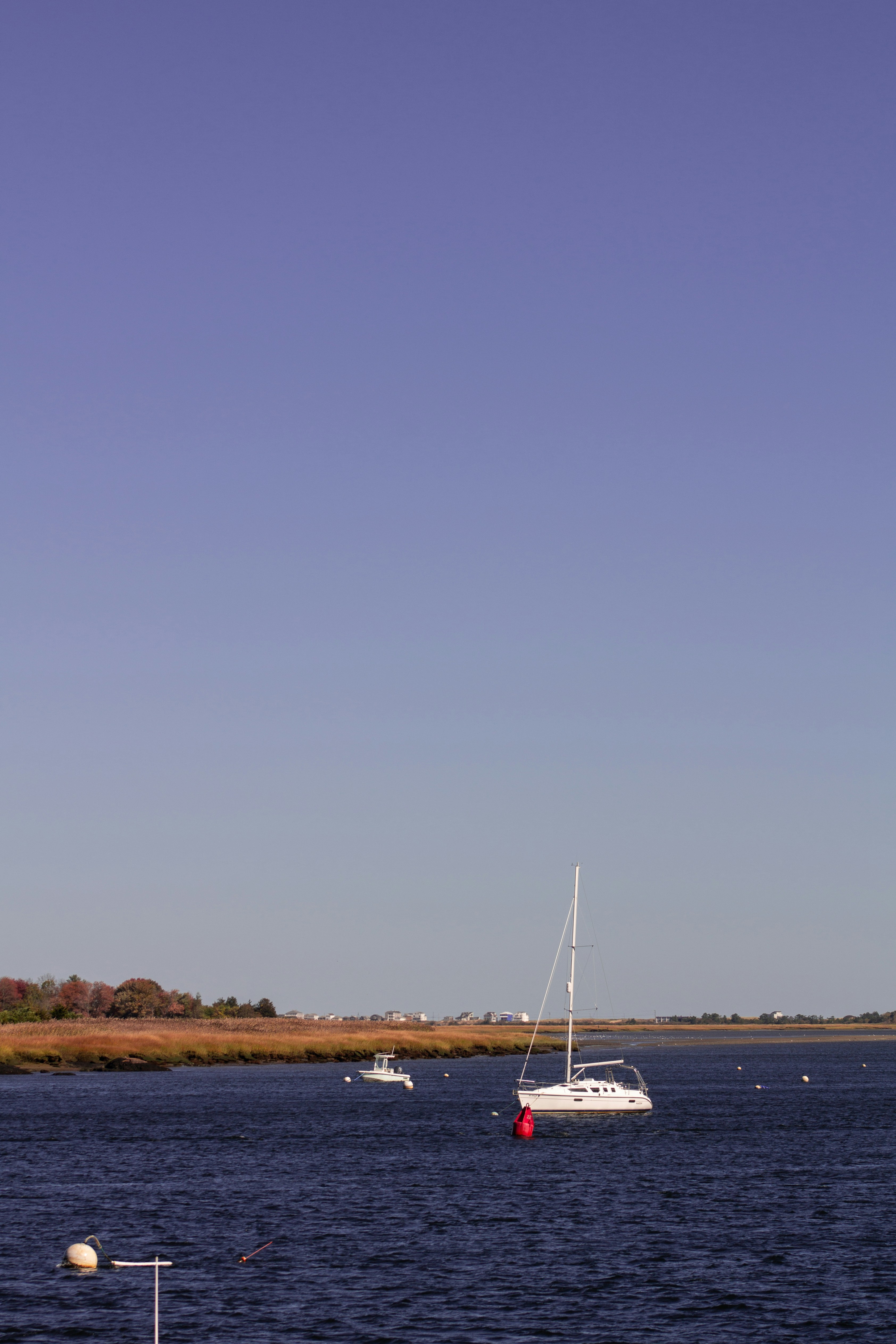 A Quiet Estuary: White Sails Meet a Red Buoy