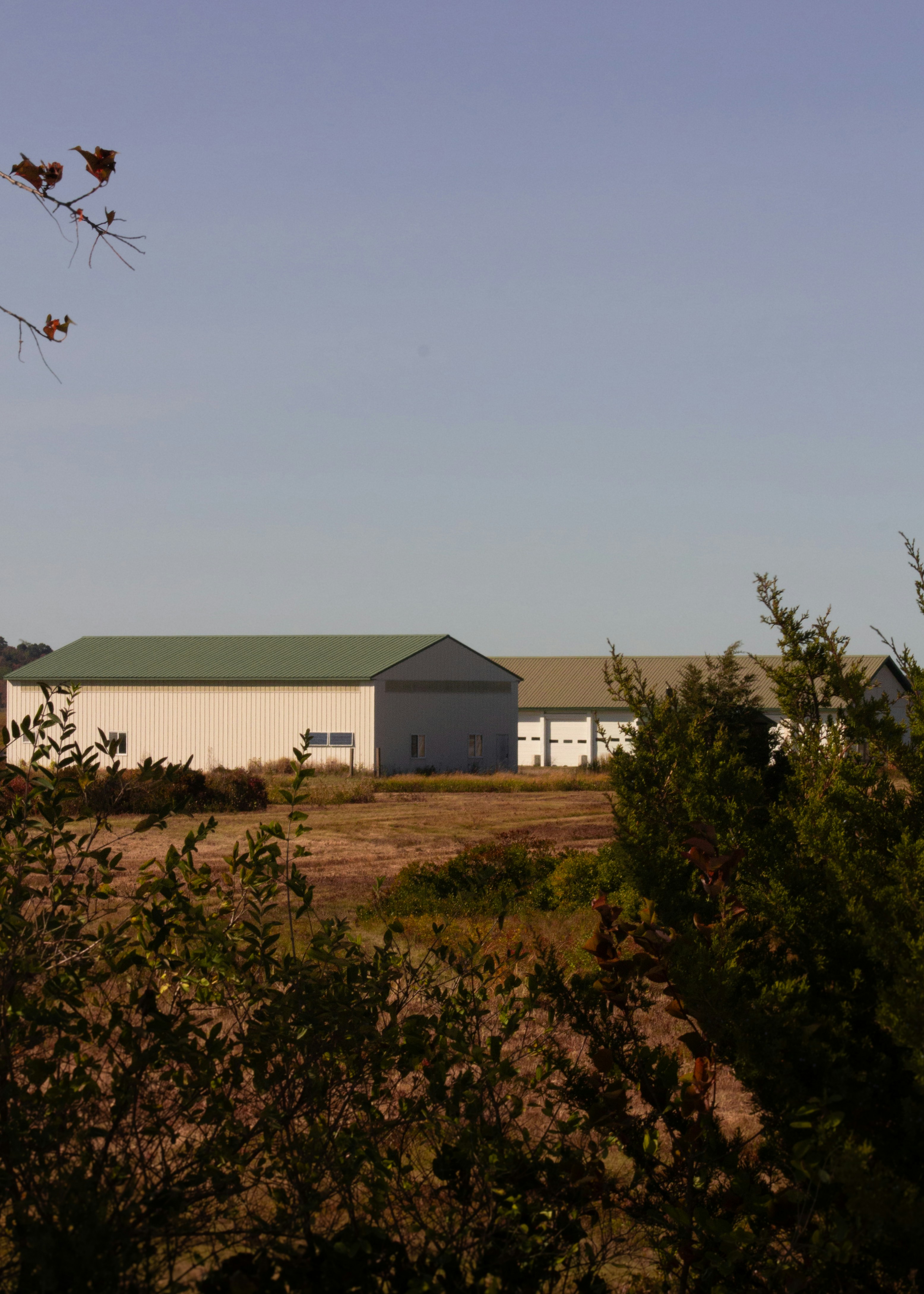 Green-Roofed Hangar Framed by Scrubby Foreground Beneath an Expansive Sky