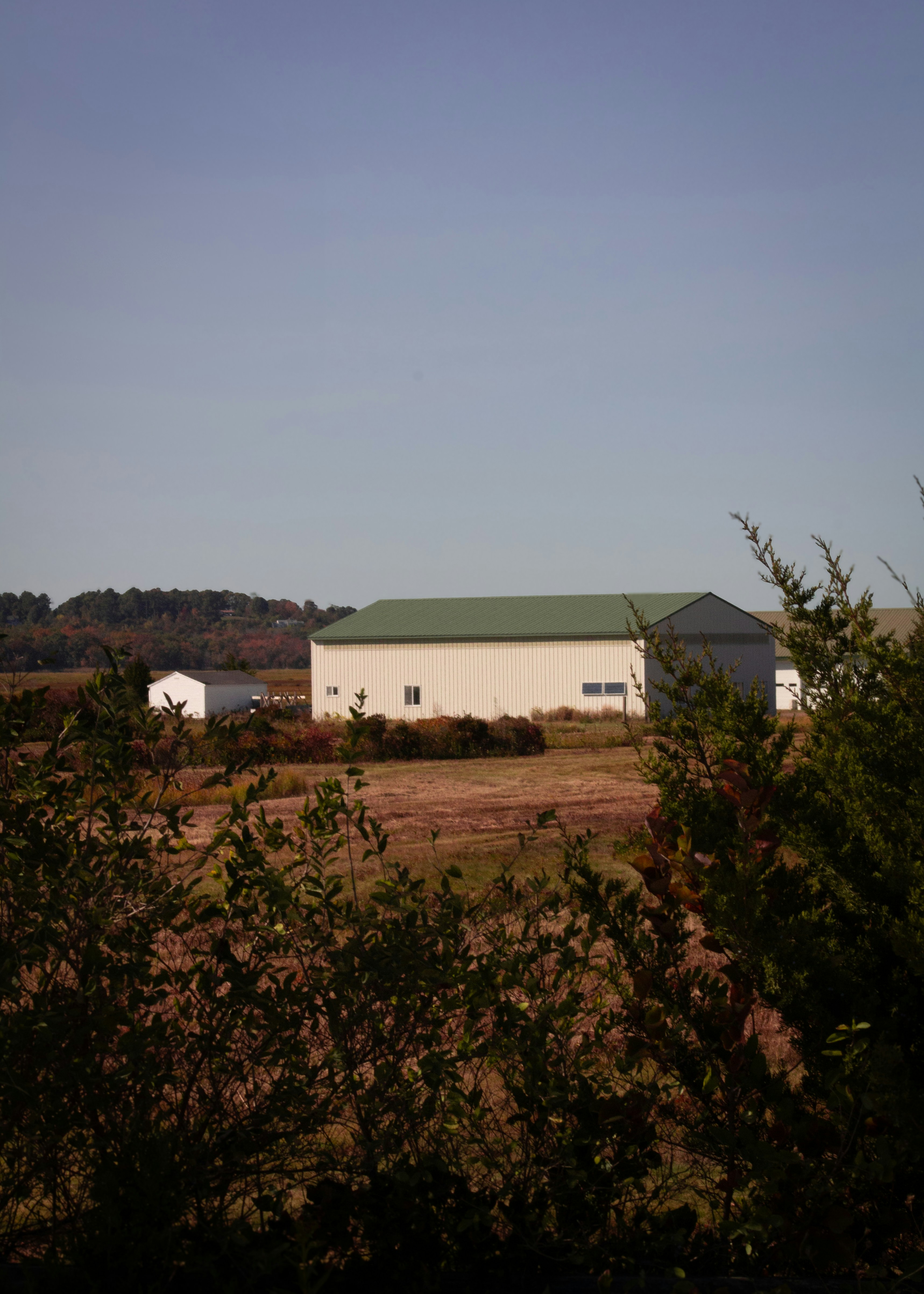 Photo by Charly Seyler with Canon EOS 1200D