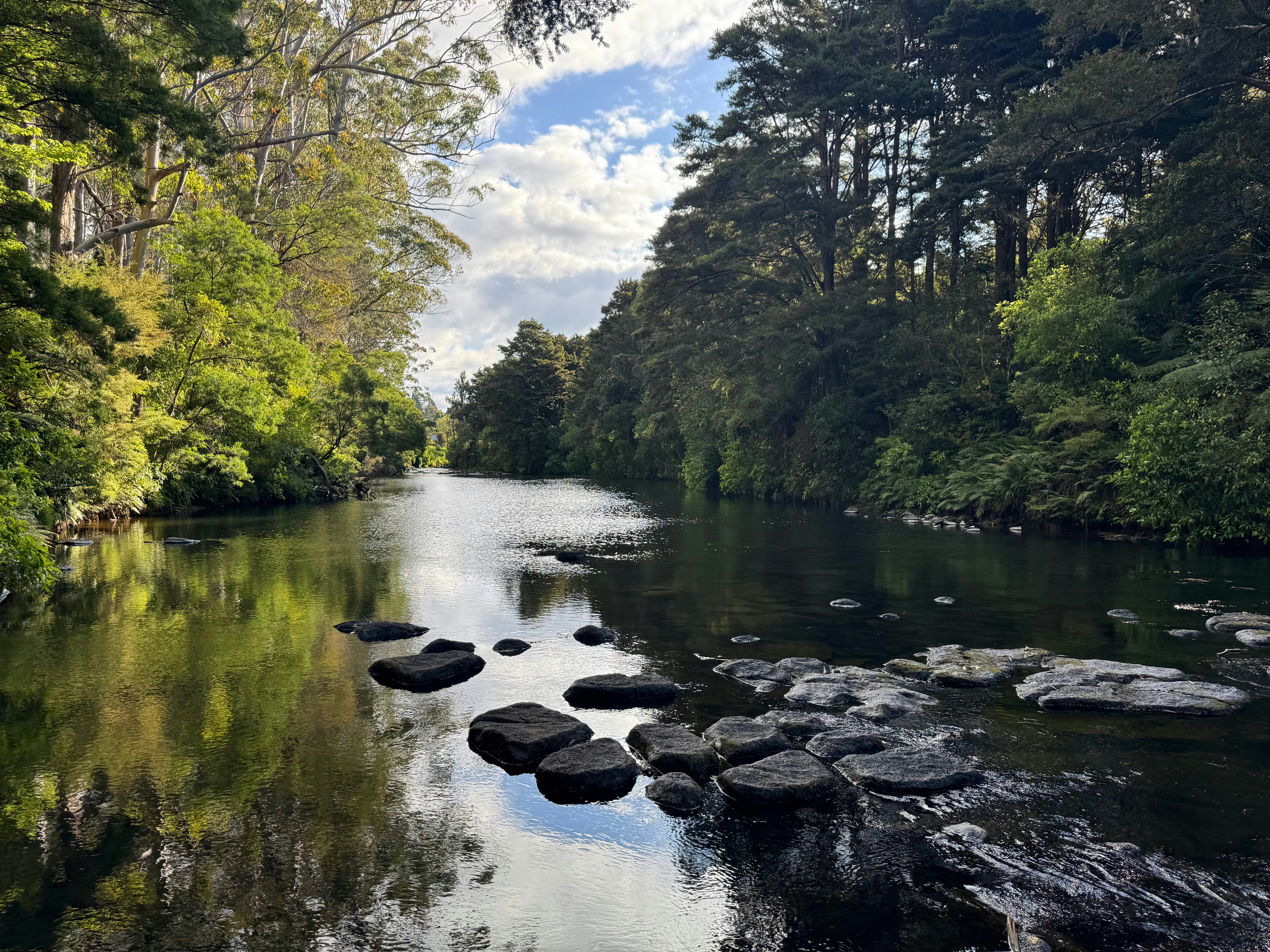 A river running through a lush green forest photo – Free Forest Image on Unsplash