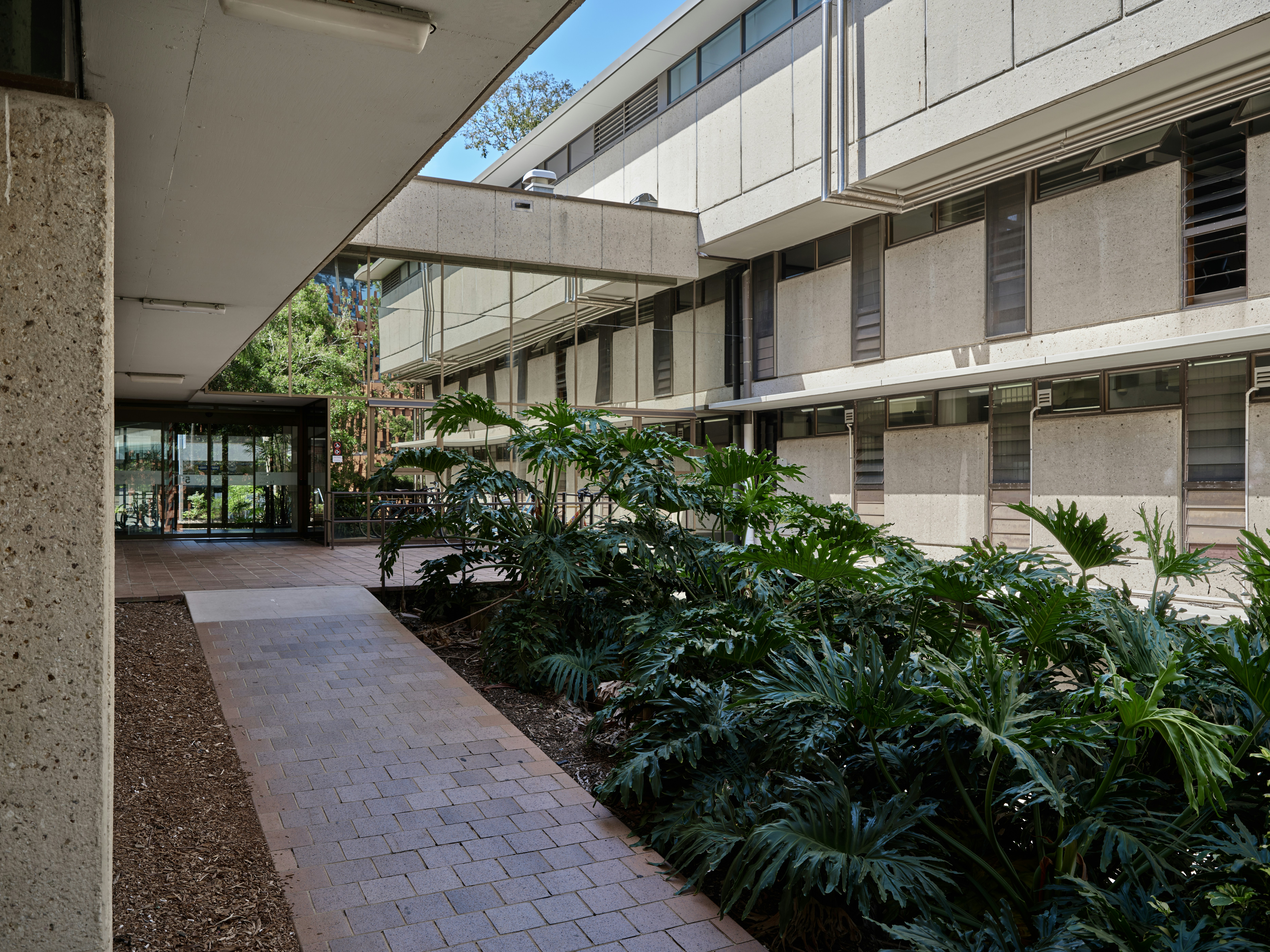 A walkway between two buildings leading to a courtyard photo – Free ...
