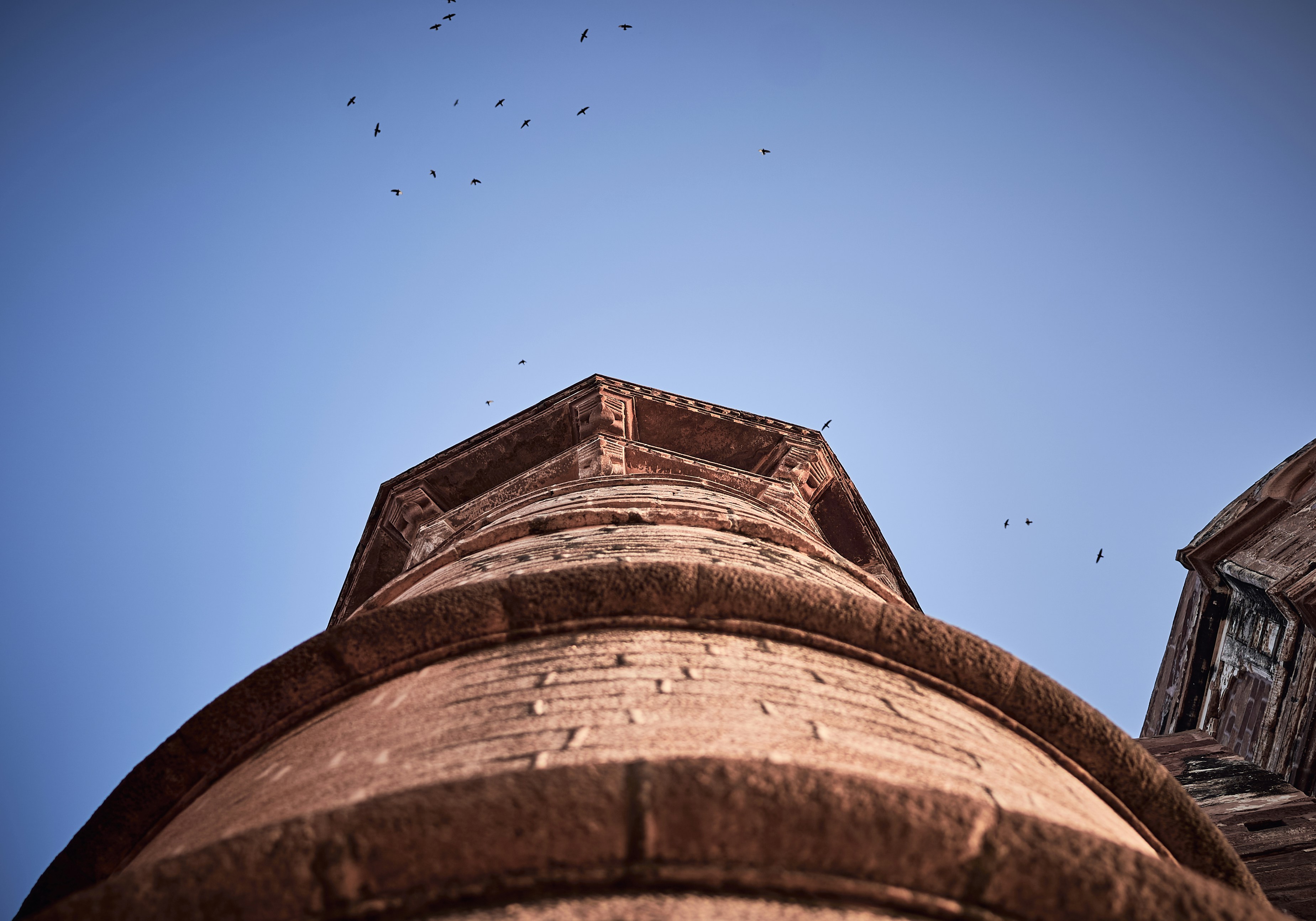 Photo by Ashwini Chaudhary(Monty) with Sony Alpha 7 III