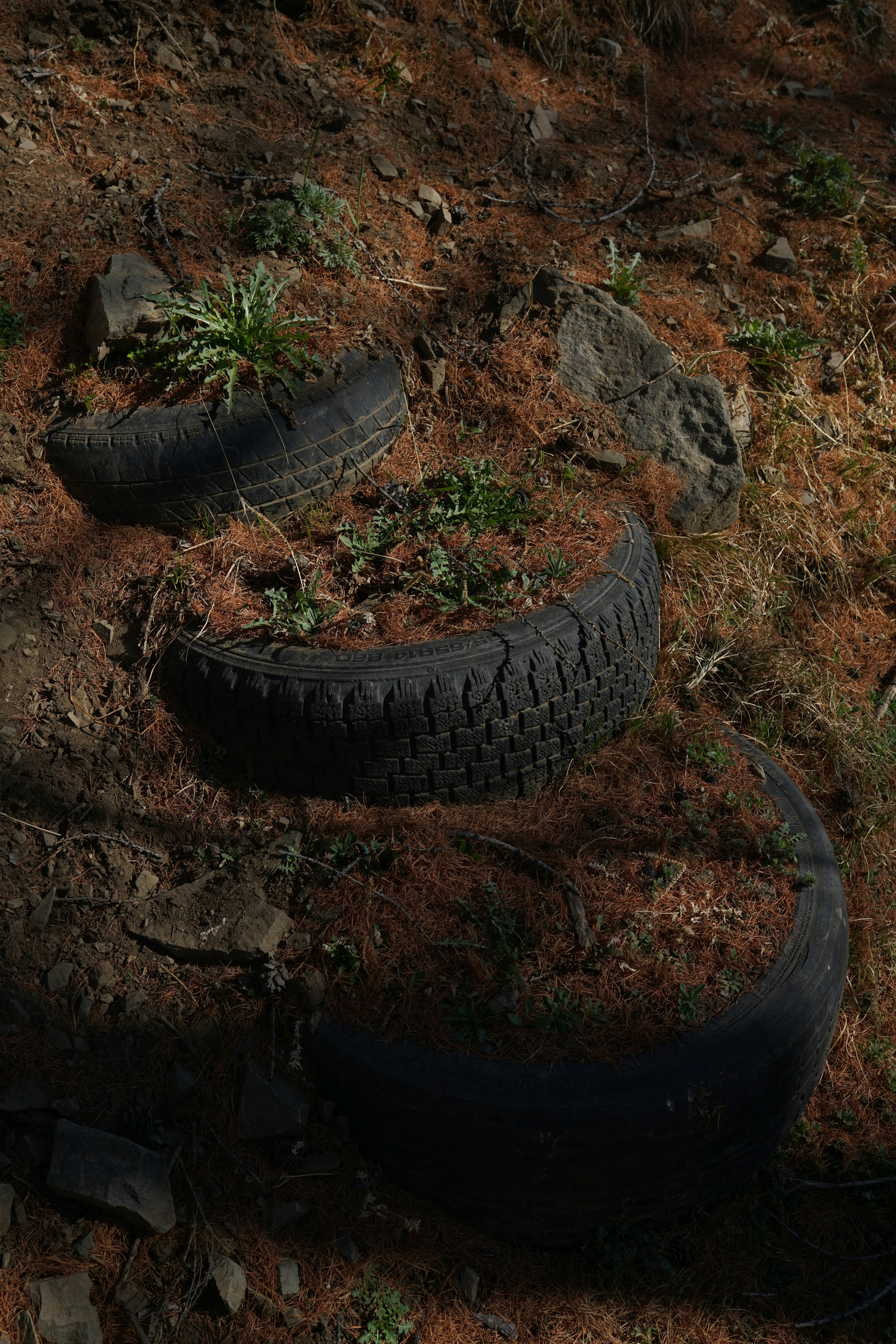 Spiral of Rubber and Roots: Tires Form a Quiet Staircase in Dry Earth