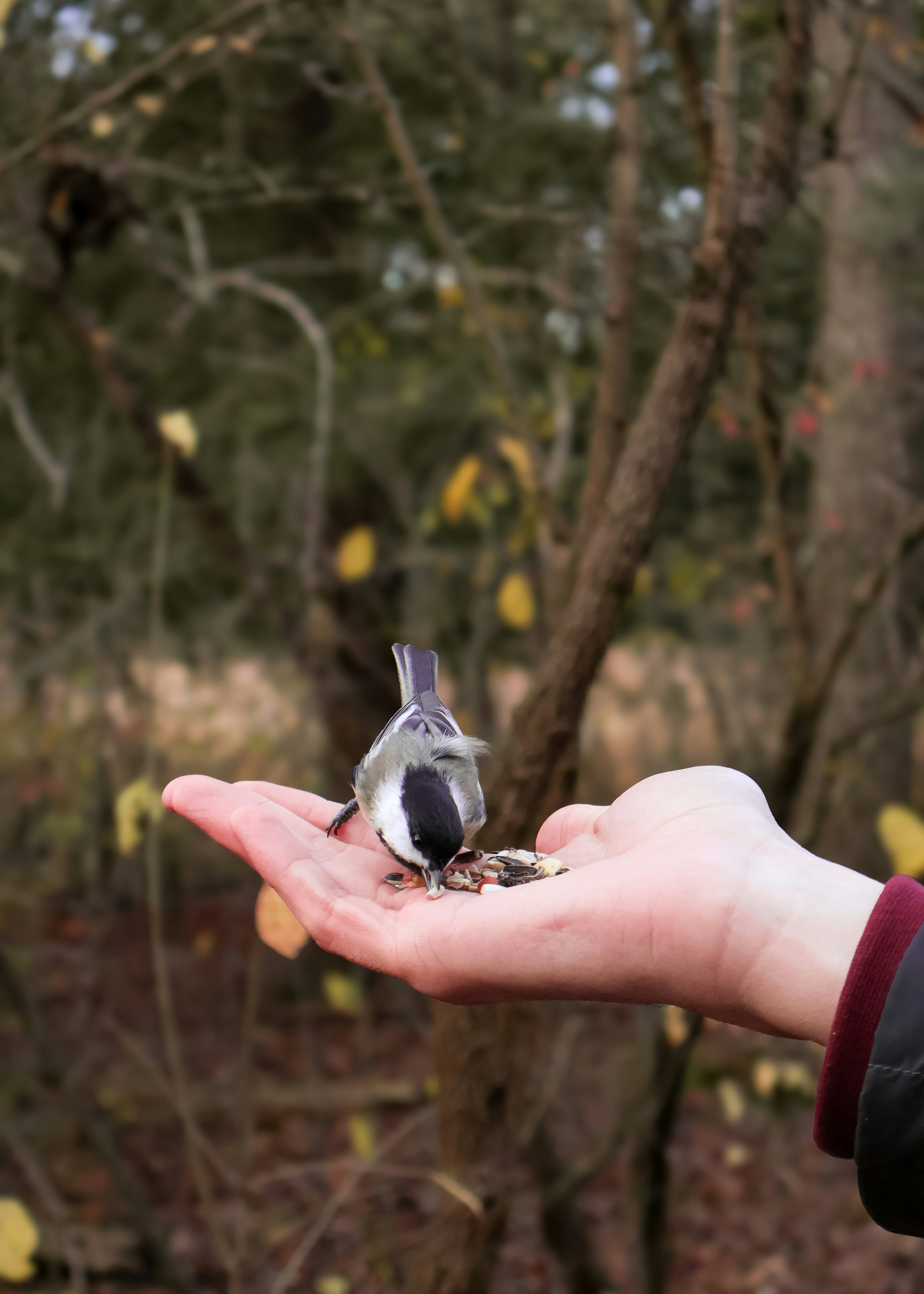 Photo by Charly Seyler with Canon EOS R50