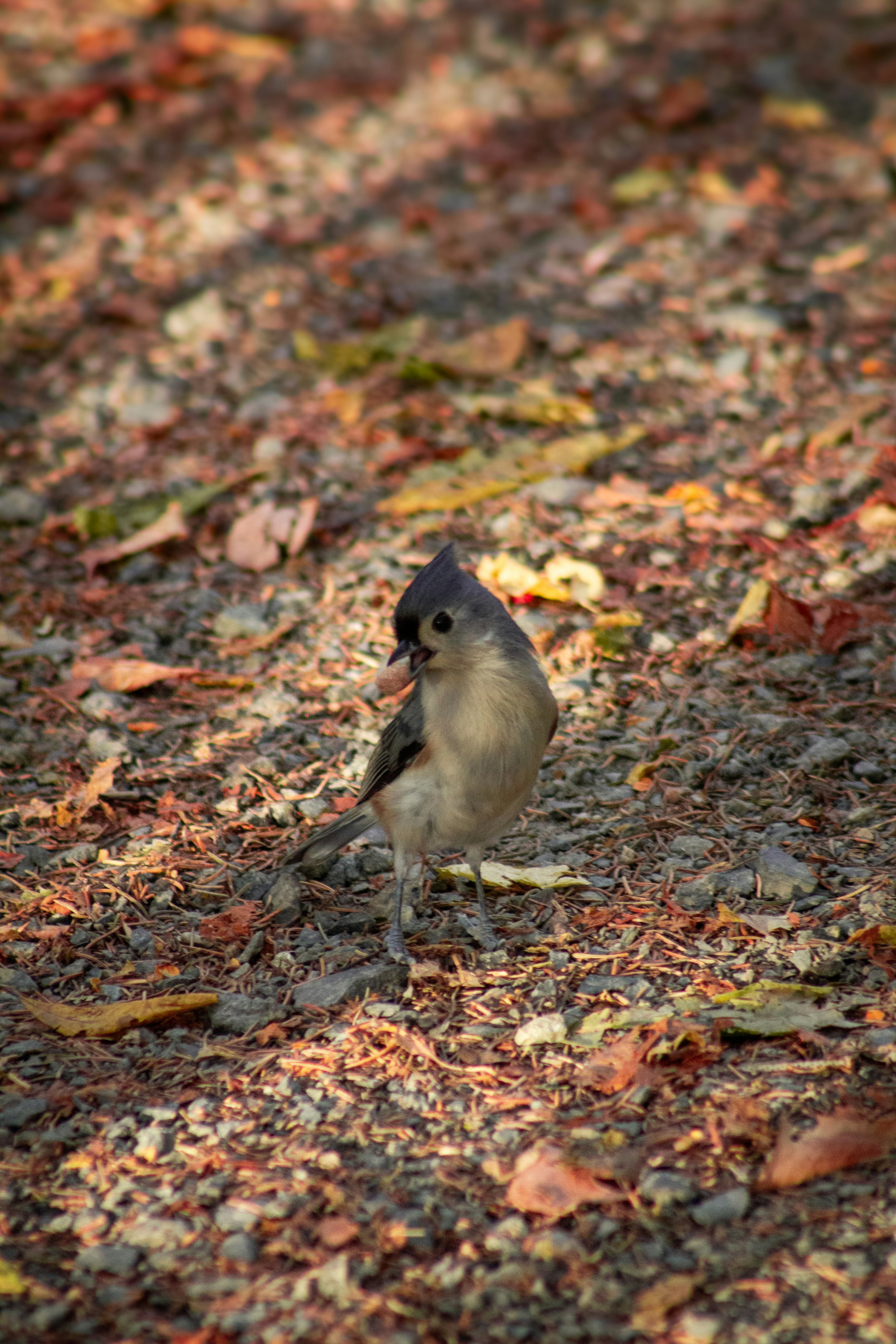 Photo by Charly Seyler with Canon EOS 1200D