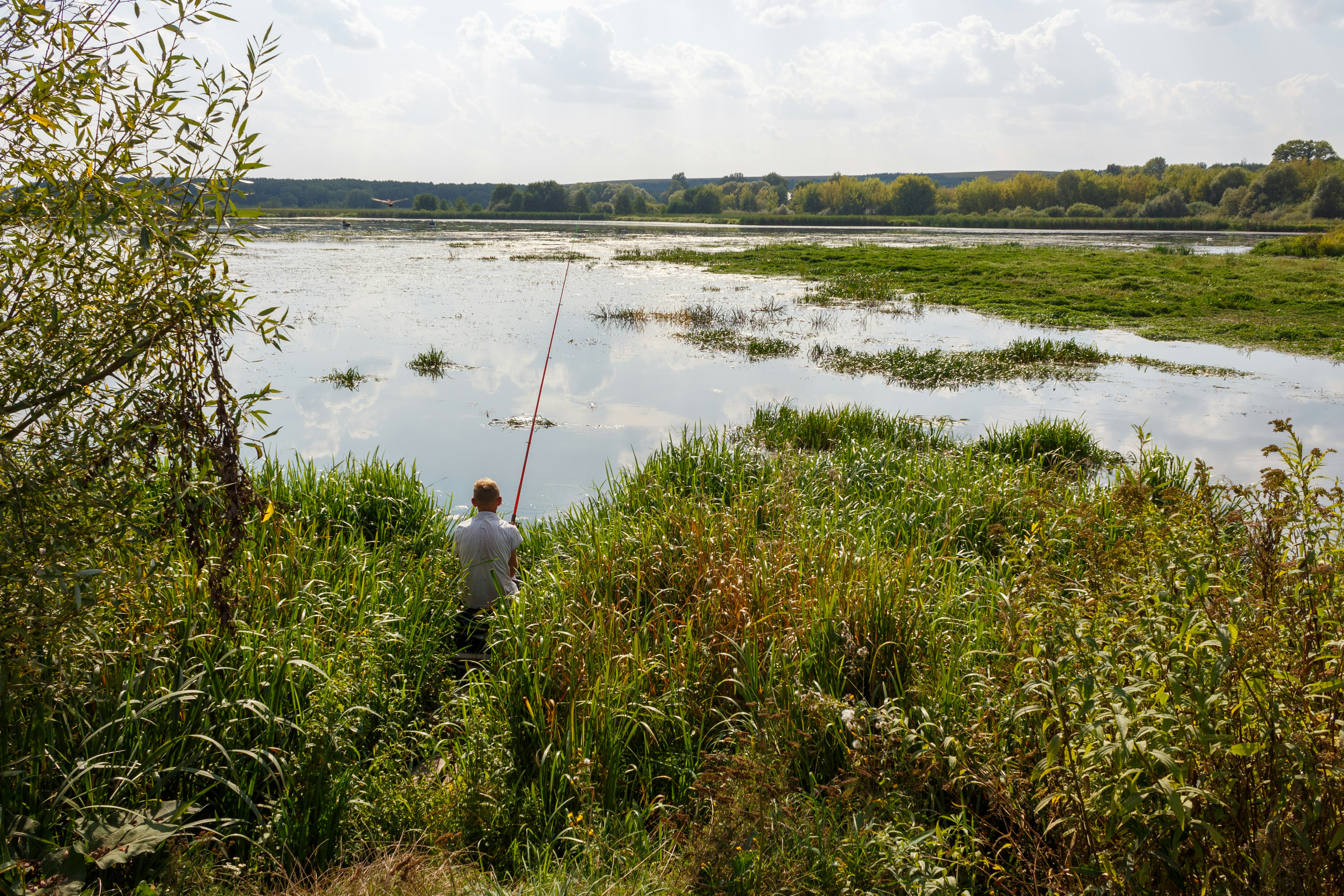 Lone Angler by the Reed-Fringed Shore of a Quiet Lake