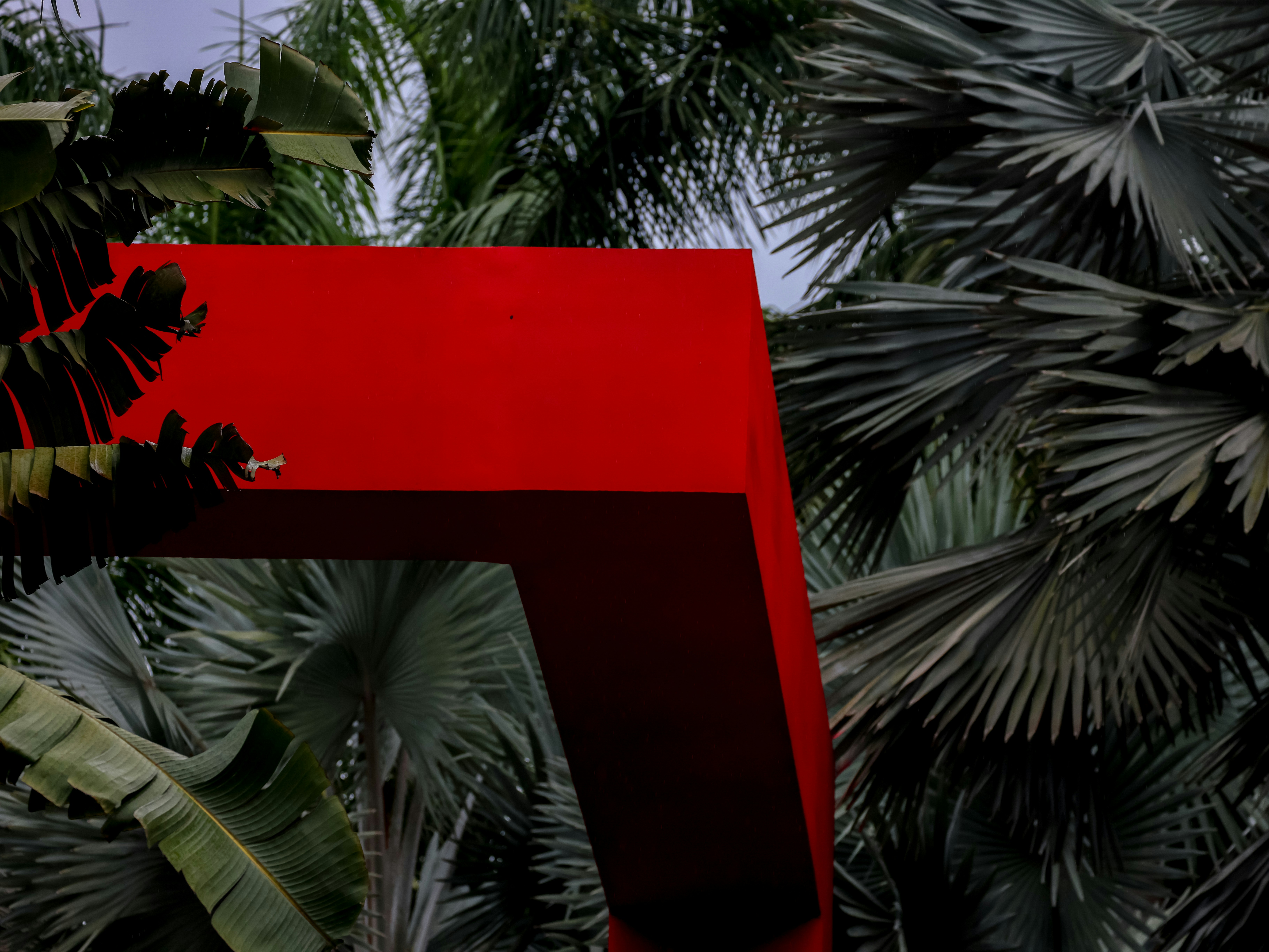 Crimson Archway Framed by a Tropical Canopy