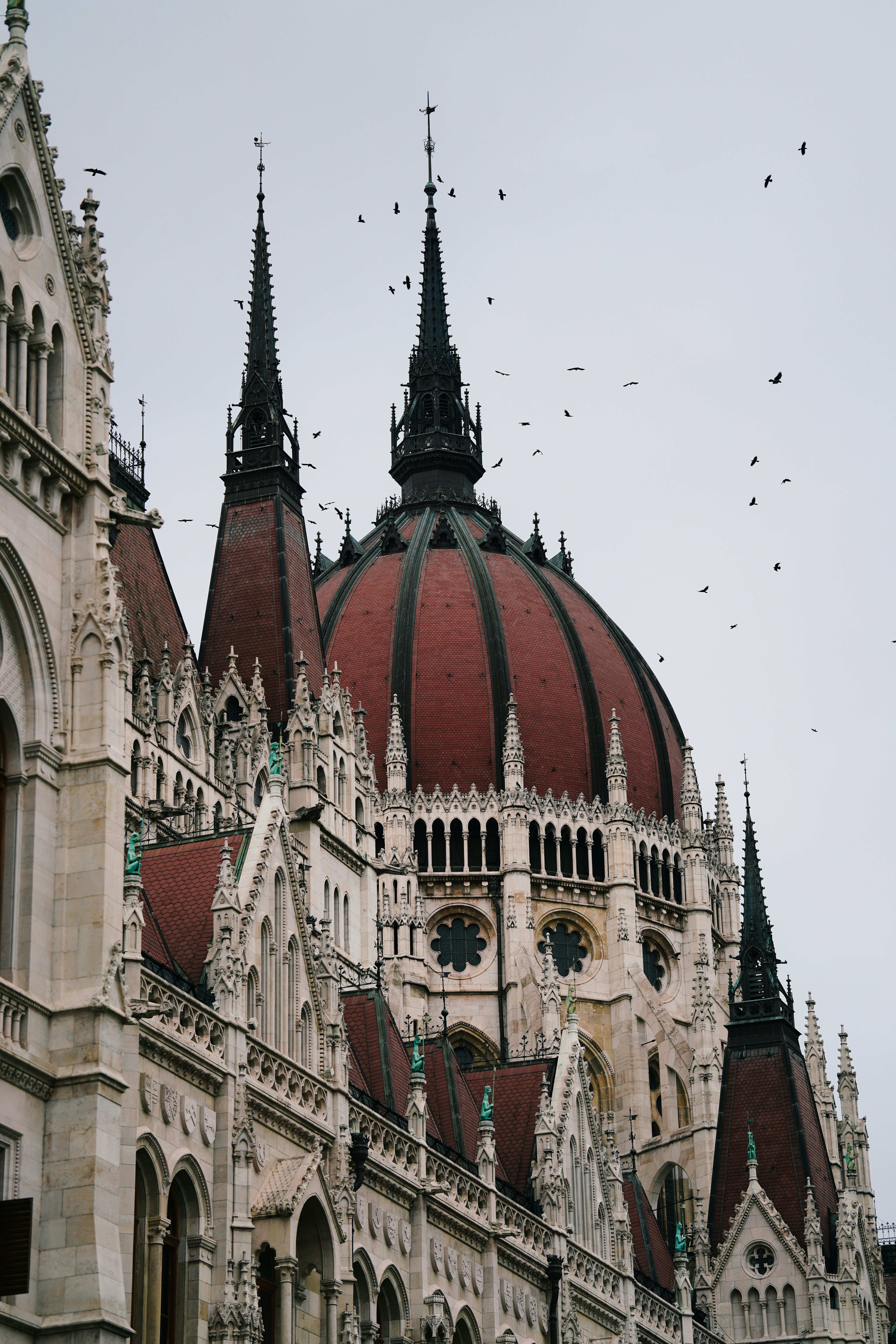 Photo by Shushan Meloyan with Sony Alpha 7R III