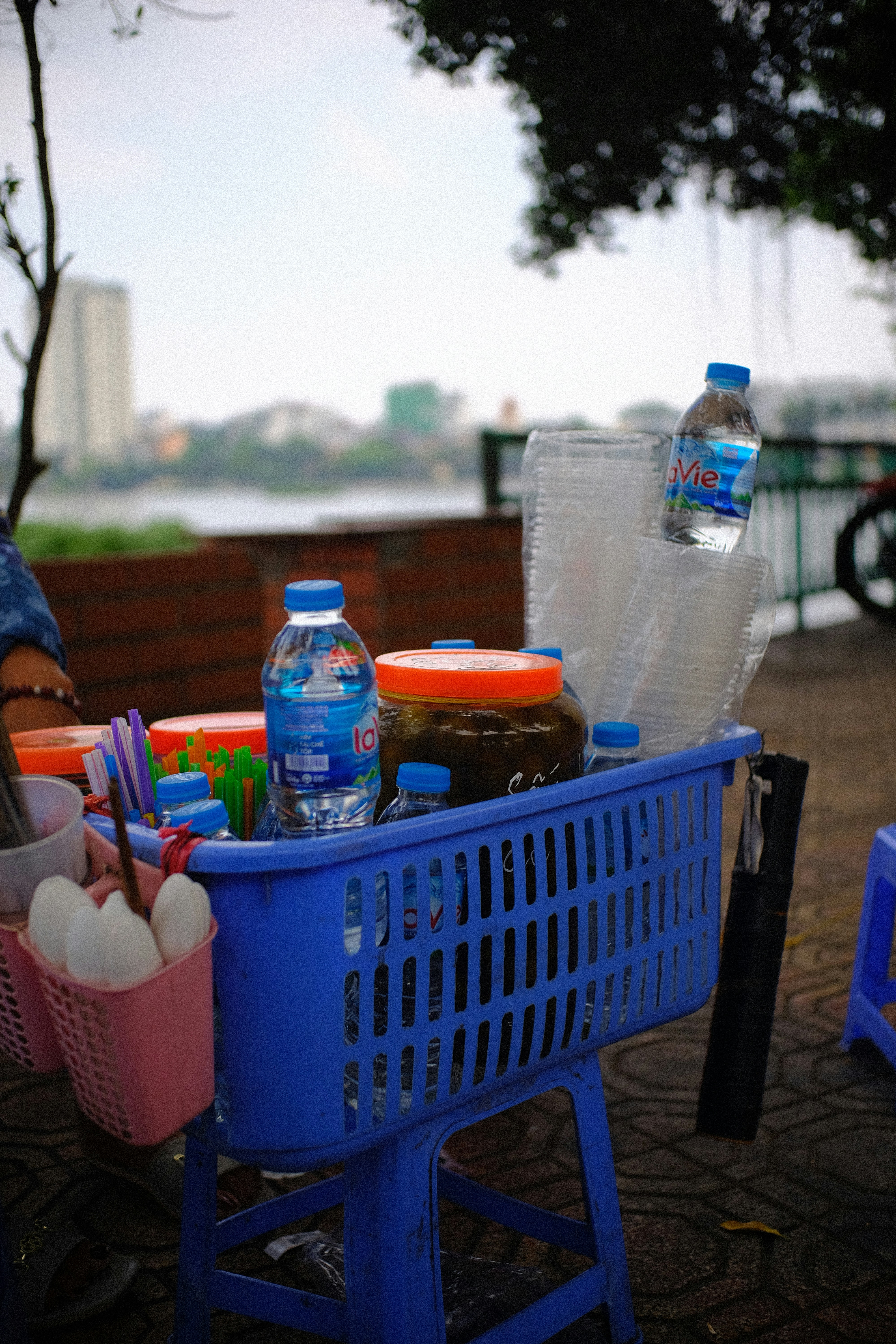Blue Grocery Cart by the Waterfront