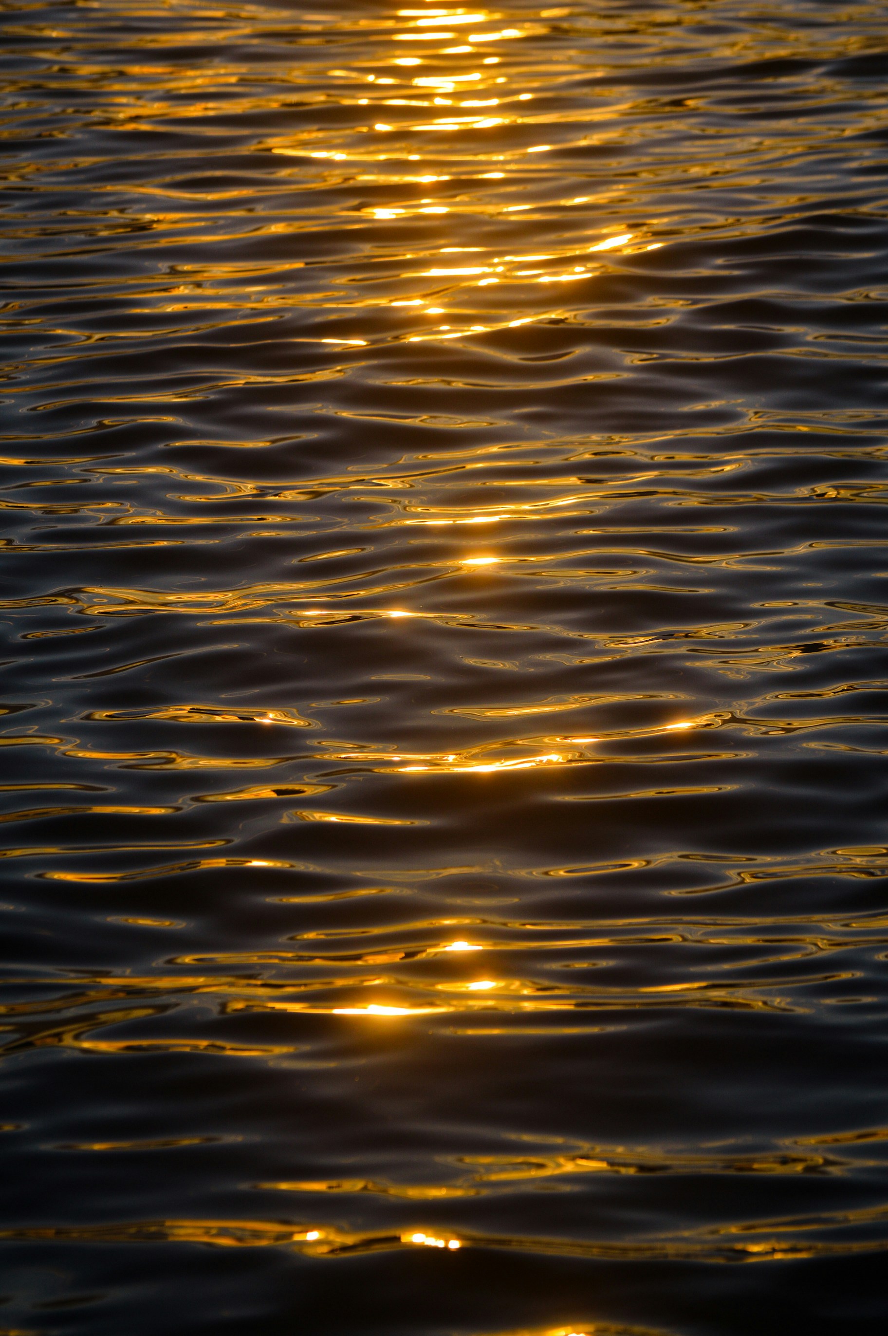 A large body of water with the sun reflecting off of the water photo ...