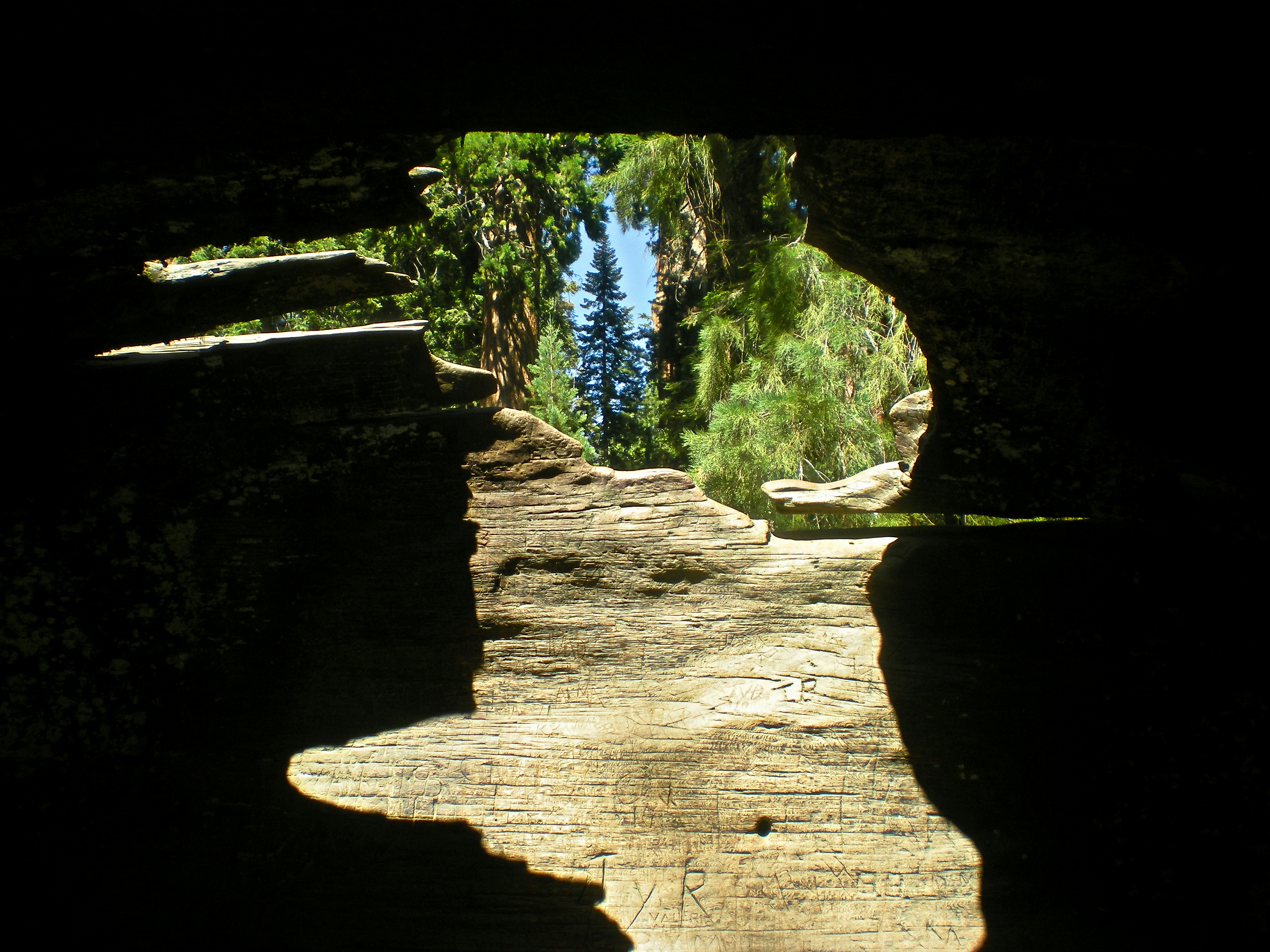 Sunlit Passageway Through Rocky Embrace